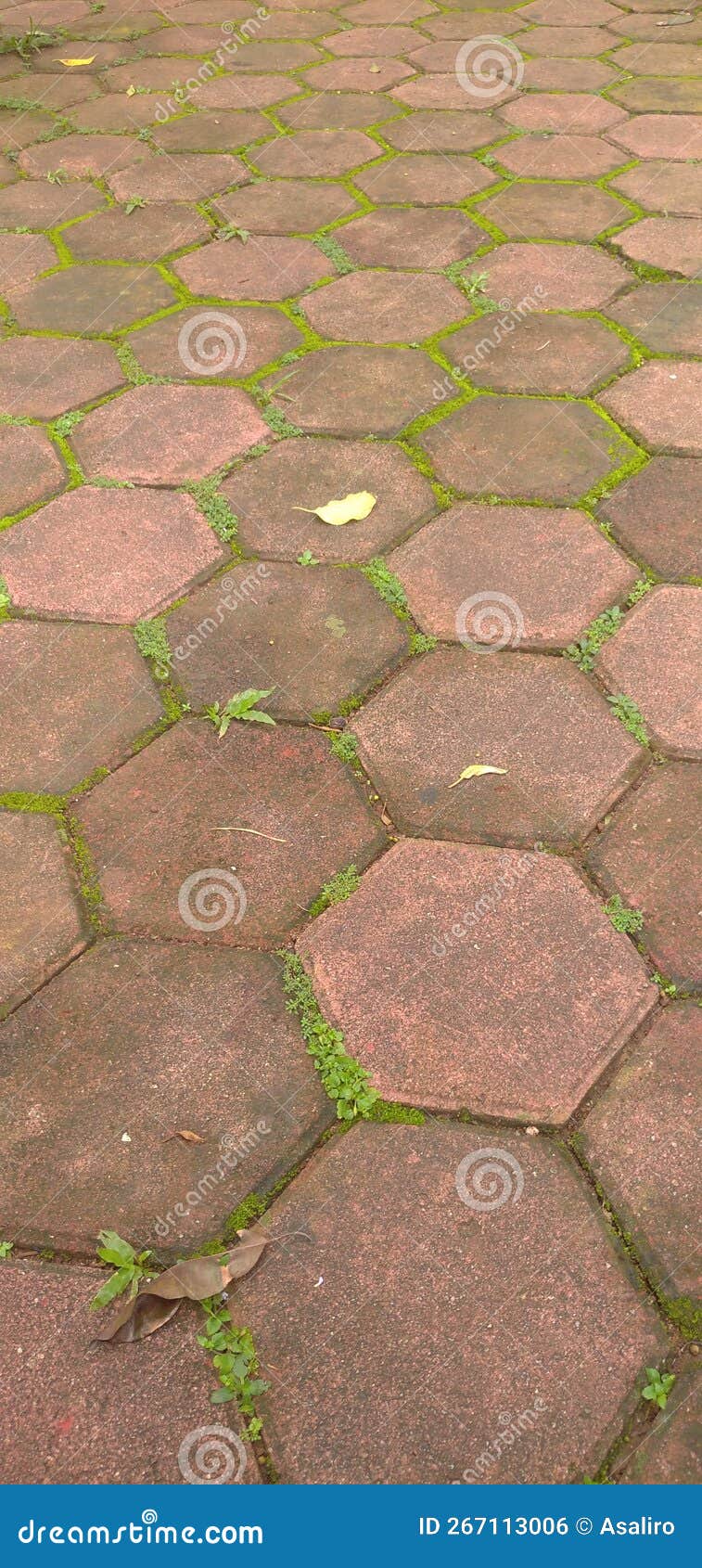 Paving Block Yellow,construction. Royalty-Free Stock Photography ...