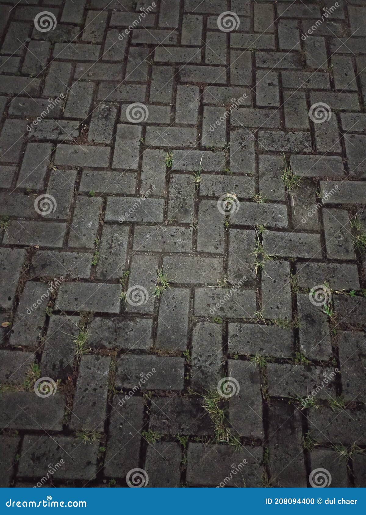 Paving Block Roads are Very Environmentally Friendly Stock Photo ...