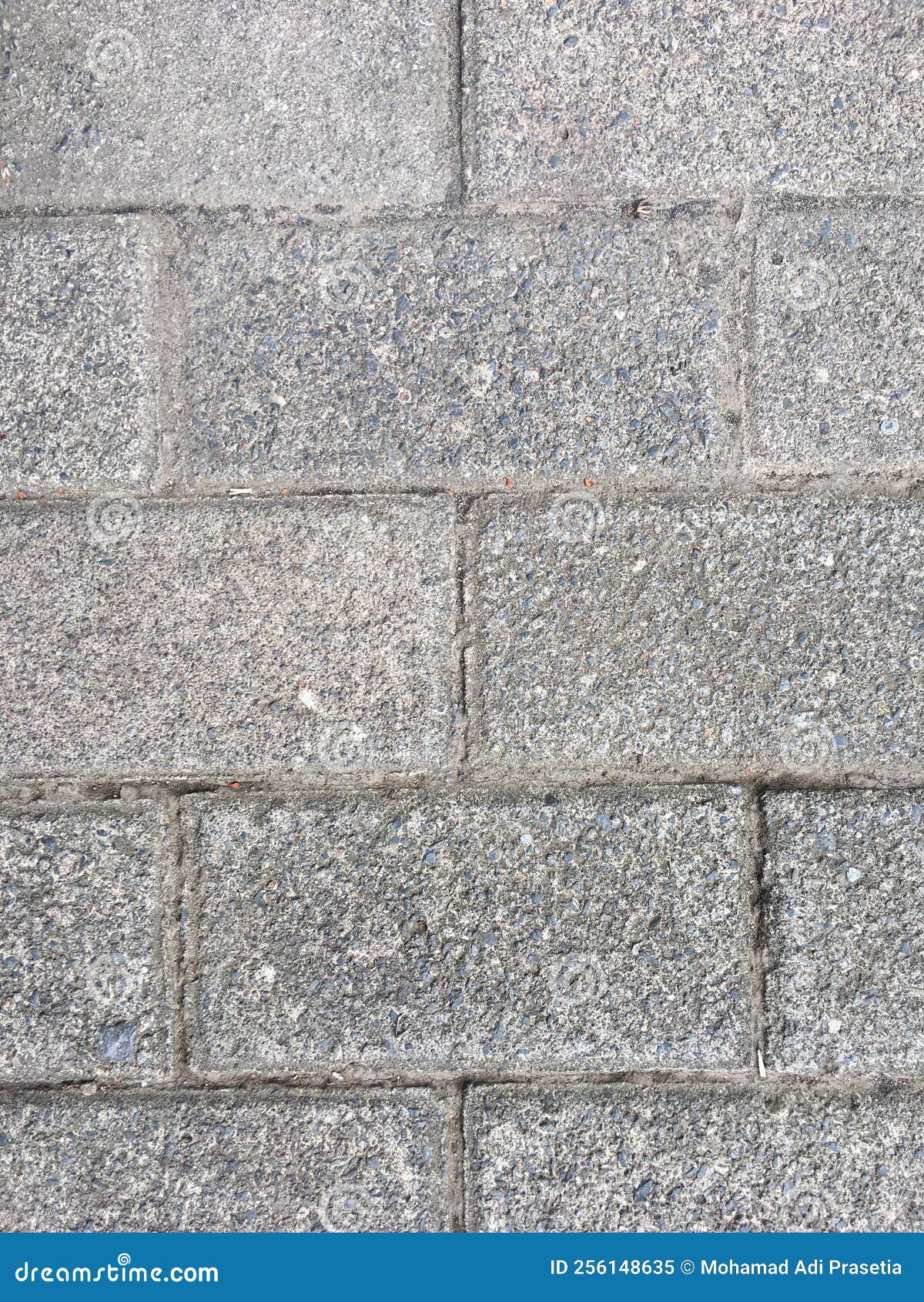 There are Many Rectangular Paving Blocks in Indonesia Stock Image ...