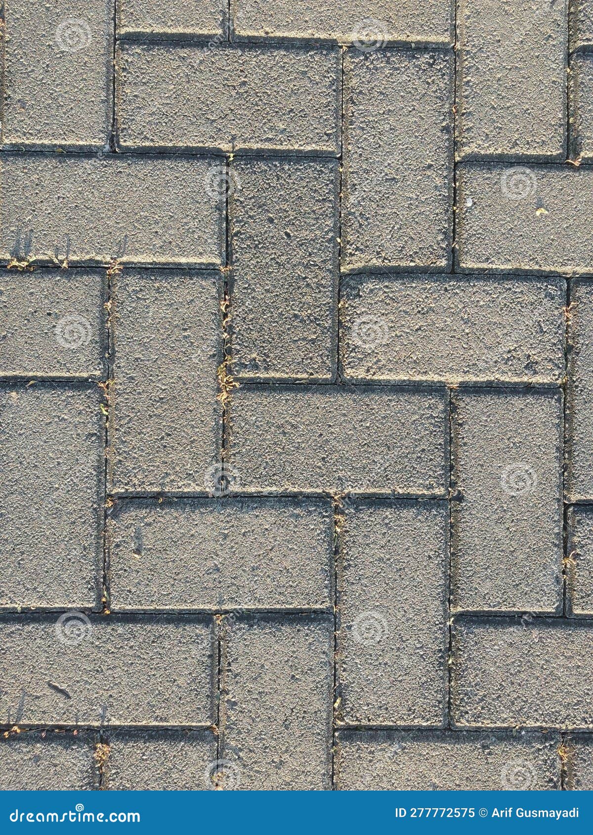 Paving Blocks: Example of Neatly Arranged Paving Blocks Stock Image ...