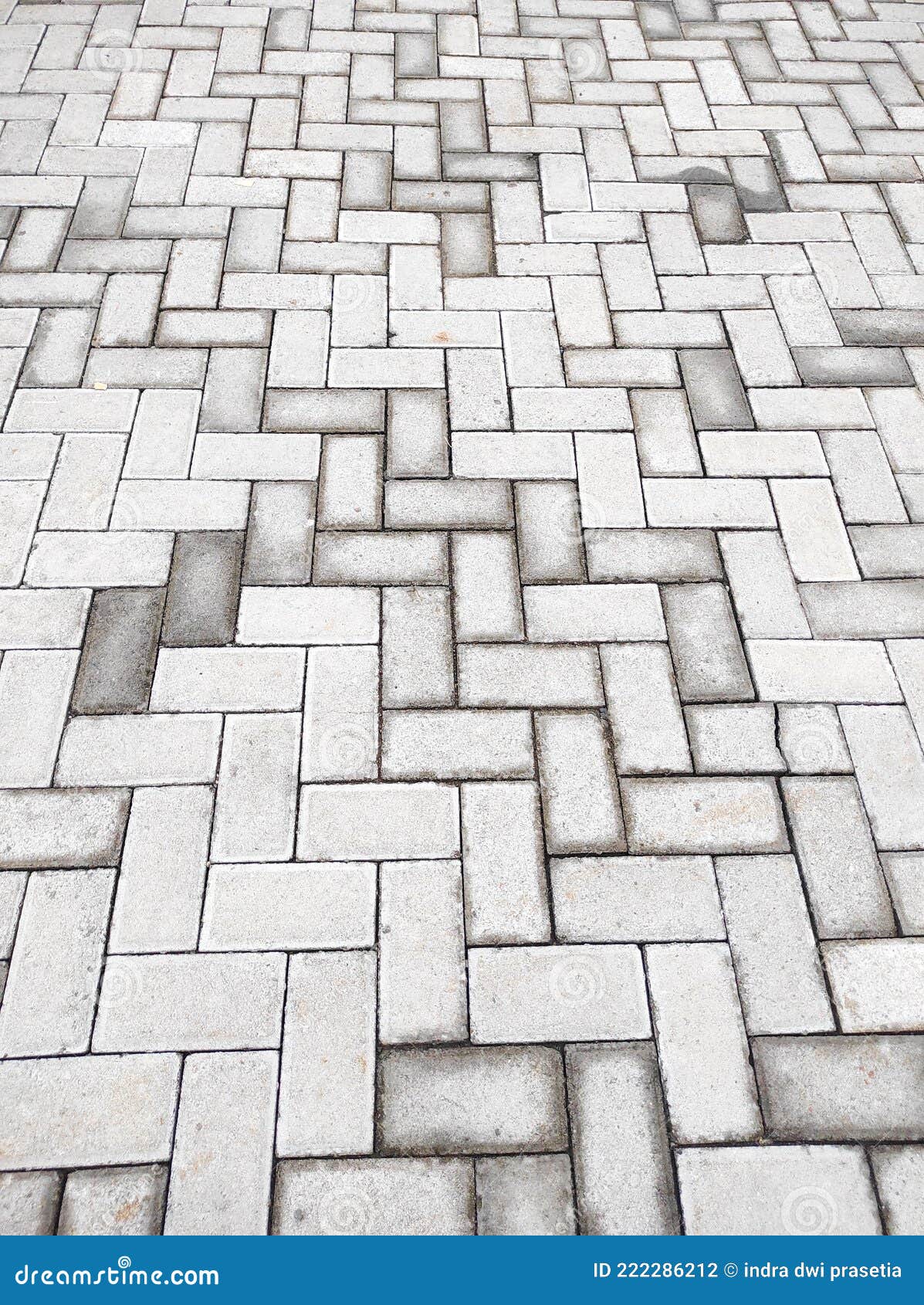 Paving Blocks for the Front Floor of the House Stock Photo - Image of ...