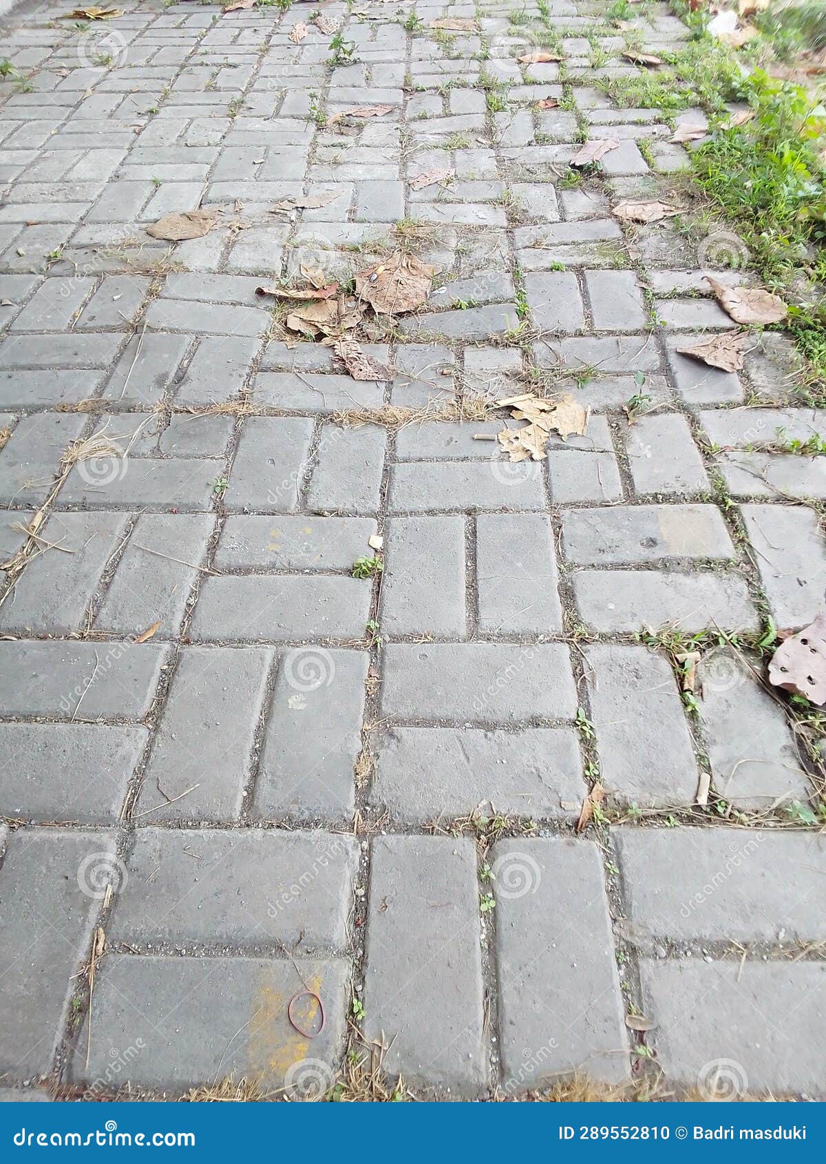It is Paving Blocks for Walking Surfaces Stock Photo - Image of striped ...
