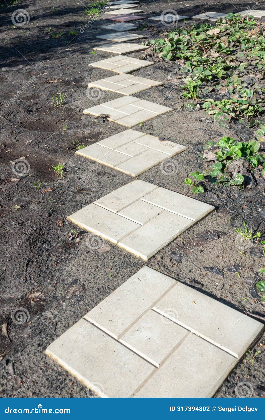 Paving Concrete Tile Garden Path in Bright Sunshine. Stock Photo ...