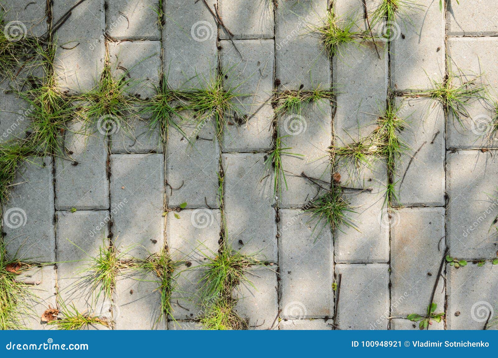 Paving Footpath with Grass stock image. Image of built - 100948921