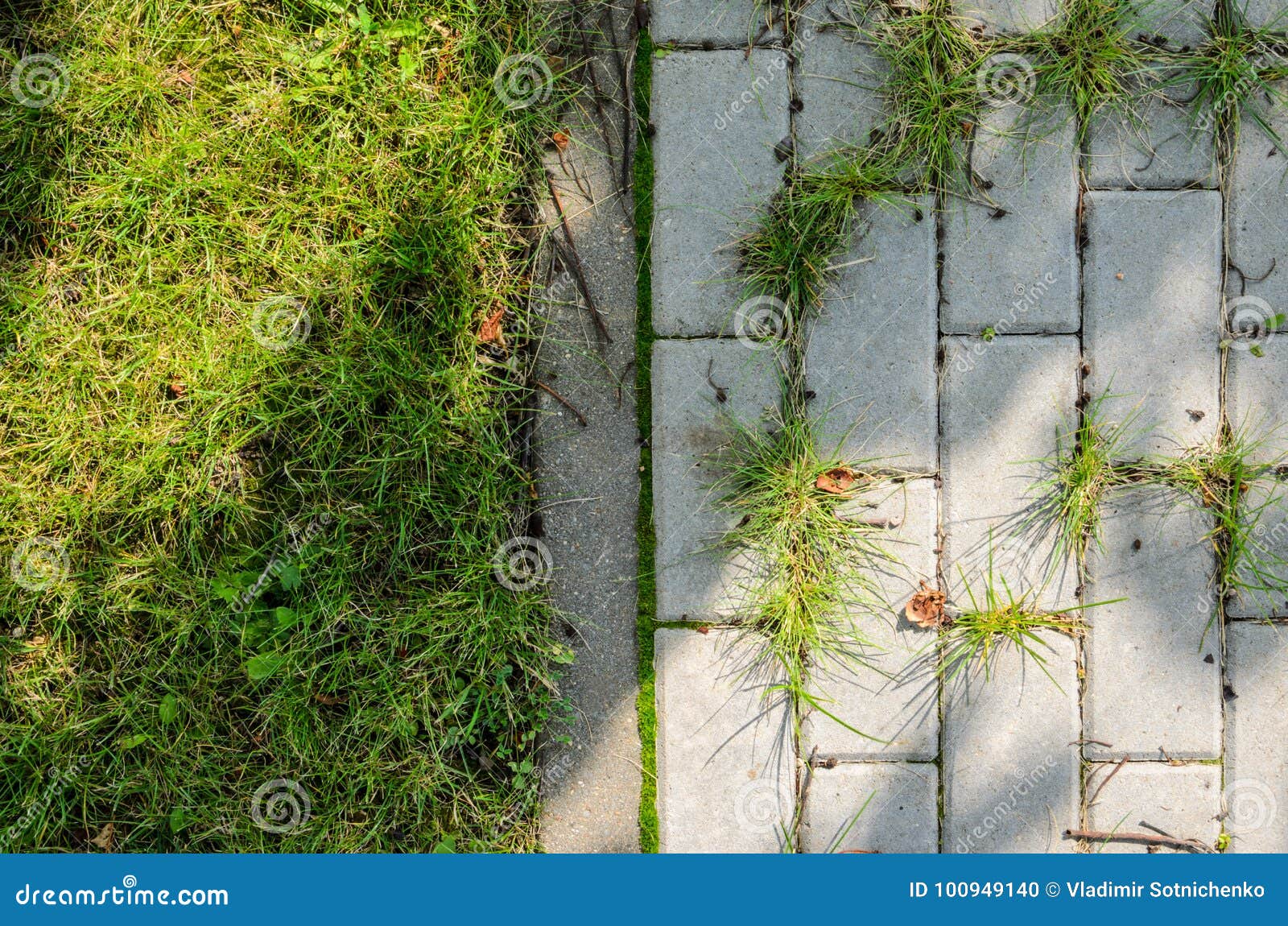 Paving Footpath with Grass stock photo. Image of path - 100949140