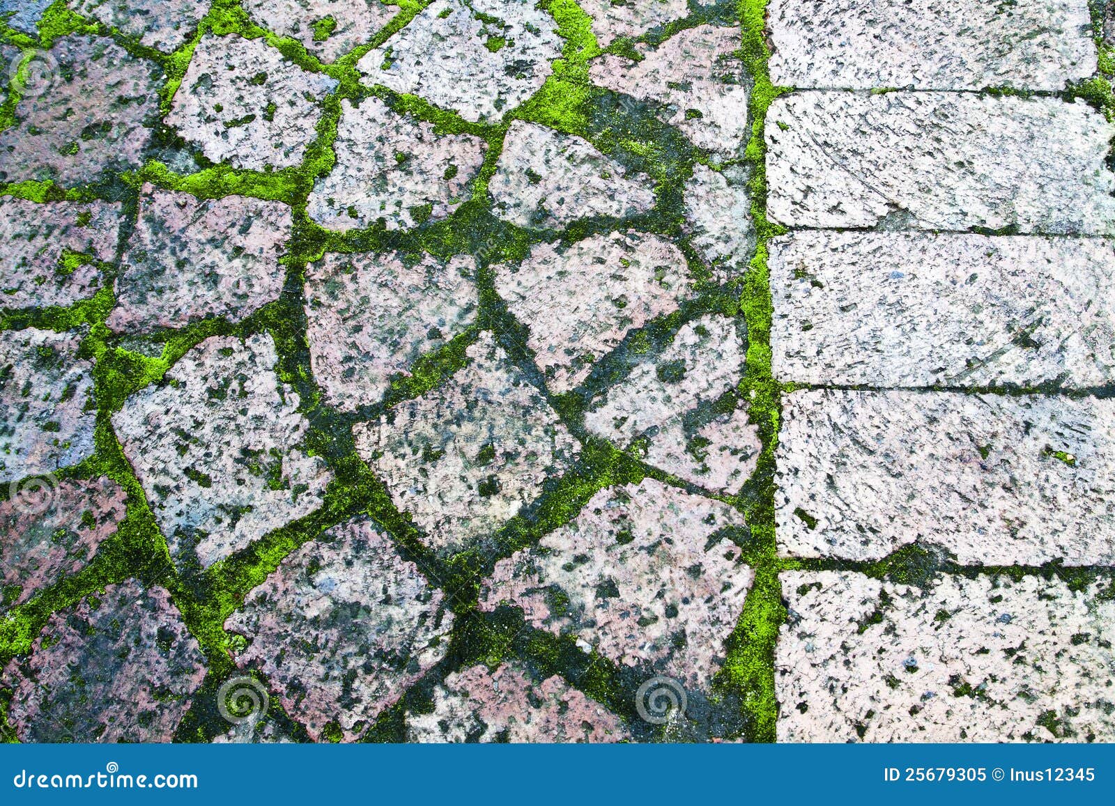 Paving with moss stock image. Image of blocks, moss, pattern - 25679305