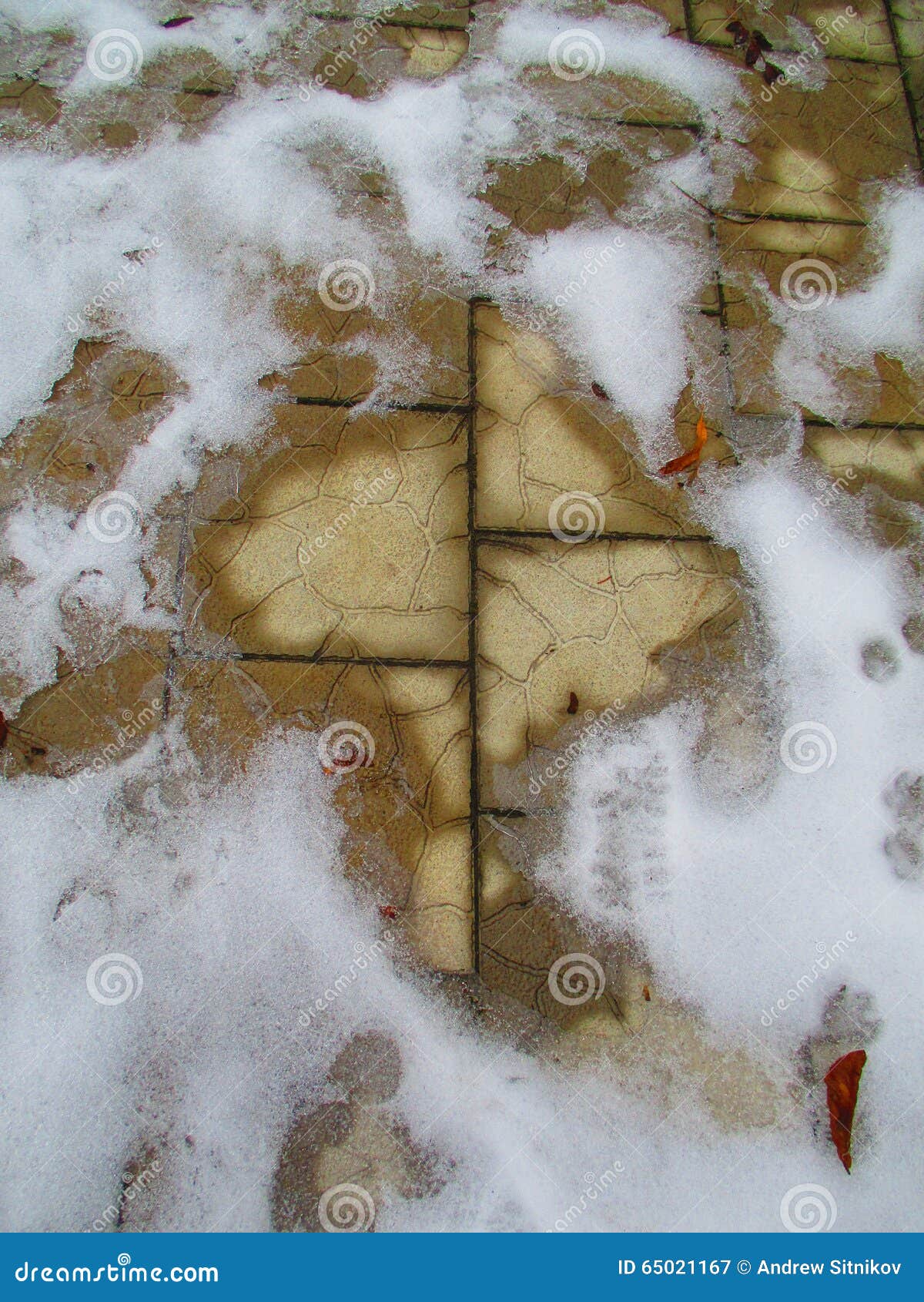 Paving Slab Covered with Melted Snow Stock Image - Image of early ...