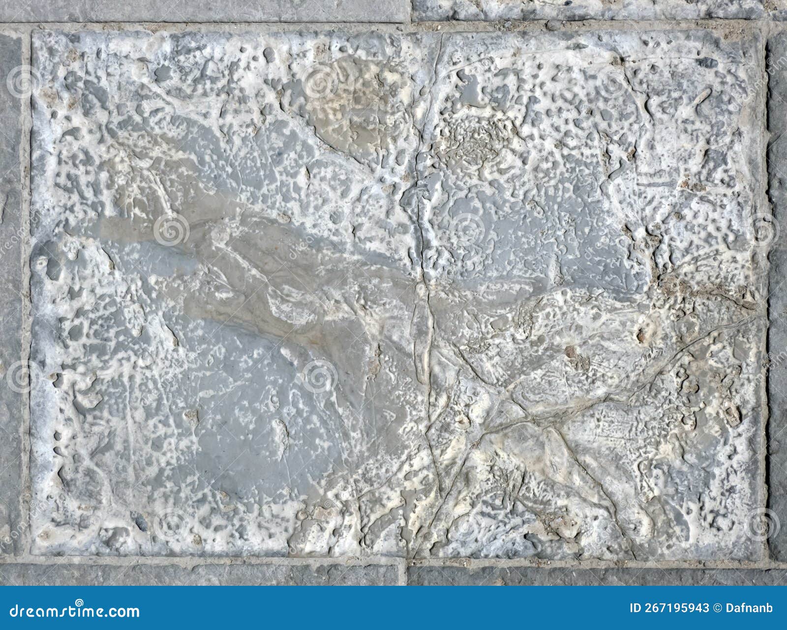 Paving Slabs, Fossilized Shells, Texture of Fossils Stock Image - Image ...