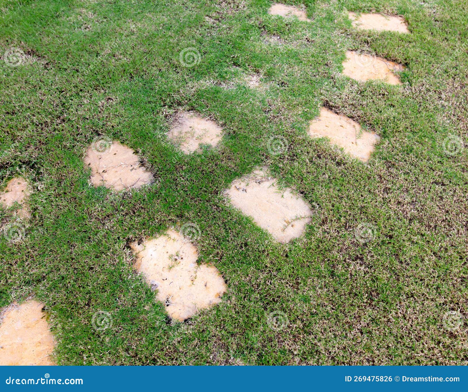 Paving Slabs on the Lawn As a Background. Stock Photo - Image of ...