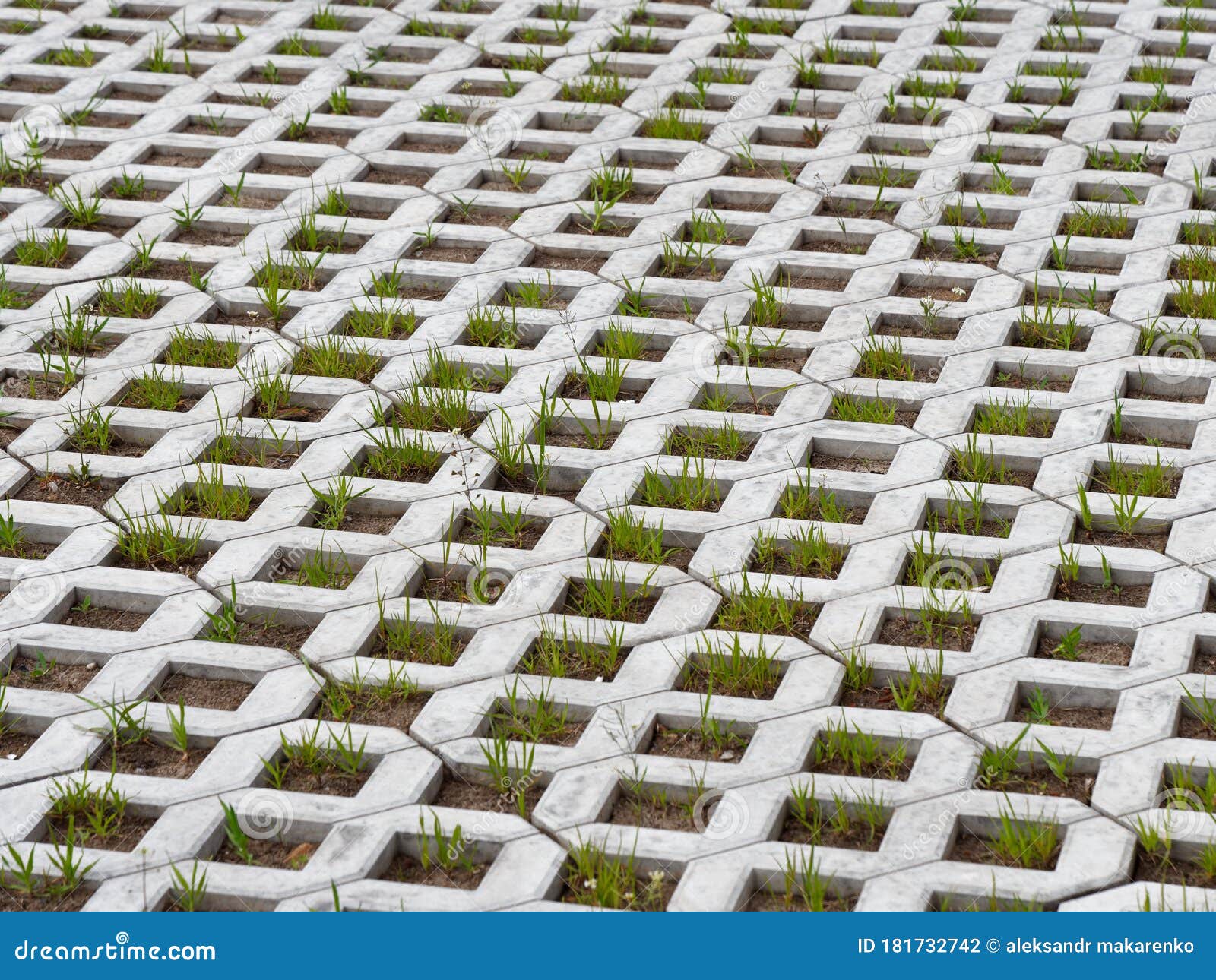 Paving Slabs Lawn Grill with Green Grass Stock Photo - Image of ...