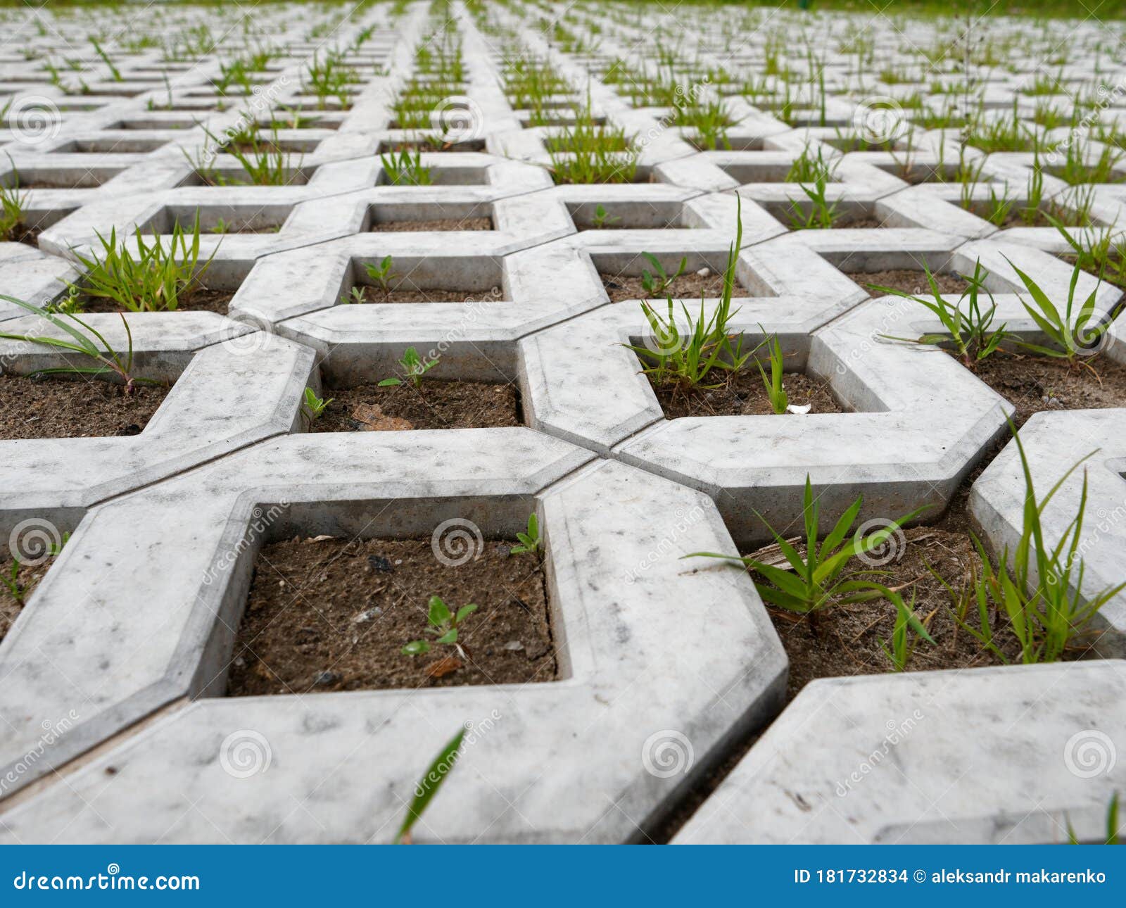 Paving Slabs Lawn Grill with Green Grass Stock Photo - Image of ...