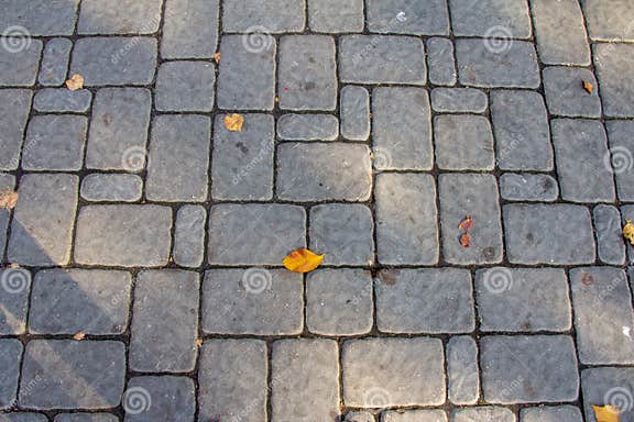 Paving Slabs on the Paths of the Park Stock Photo - Image of rounded ...