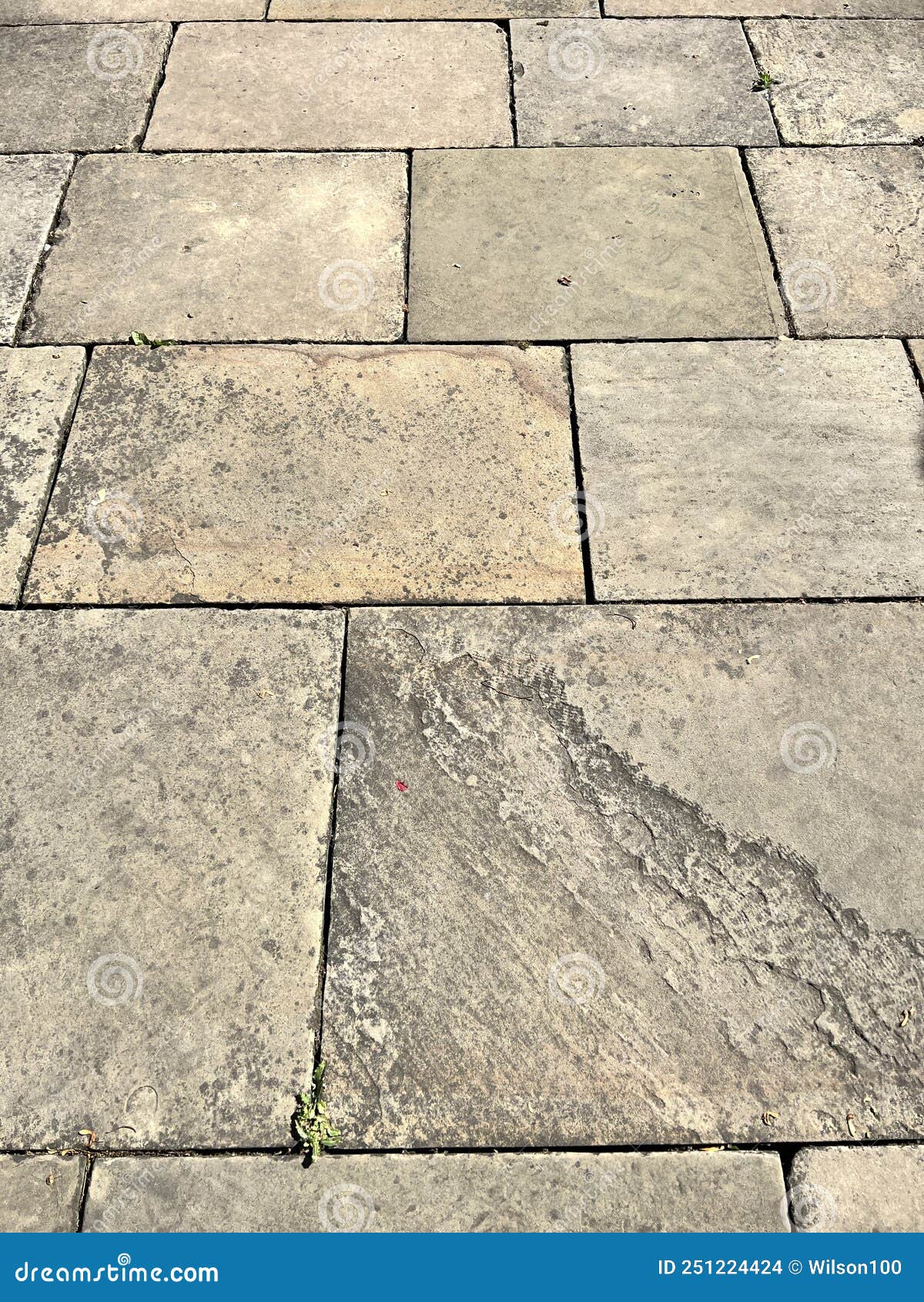 Paving Slabs stock photo. Image of forming, rectangle - 251224424