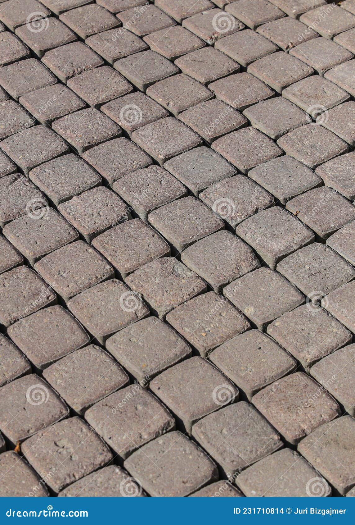 Paving Slabs Square Shape Close-up Stock Photo - Image of construction ...