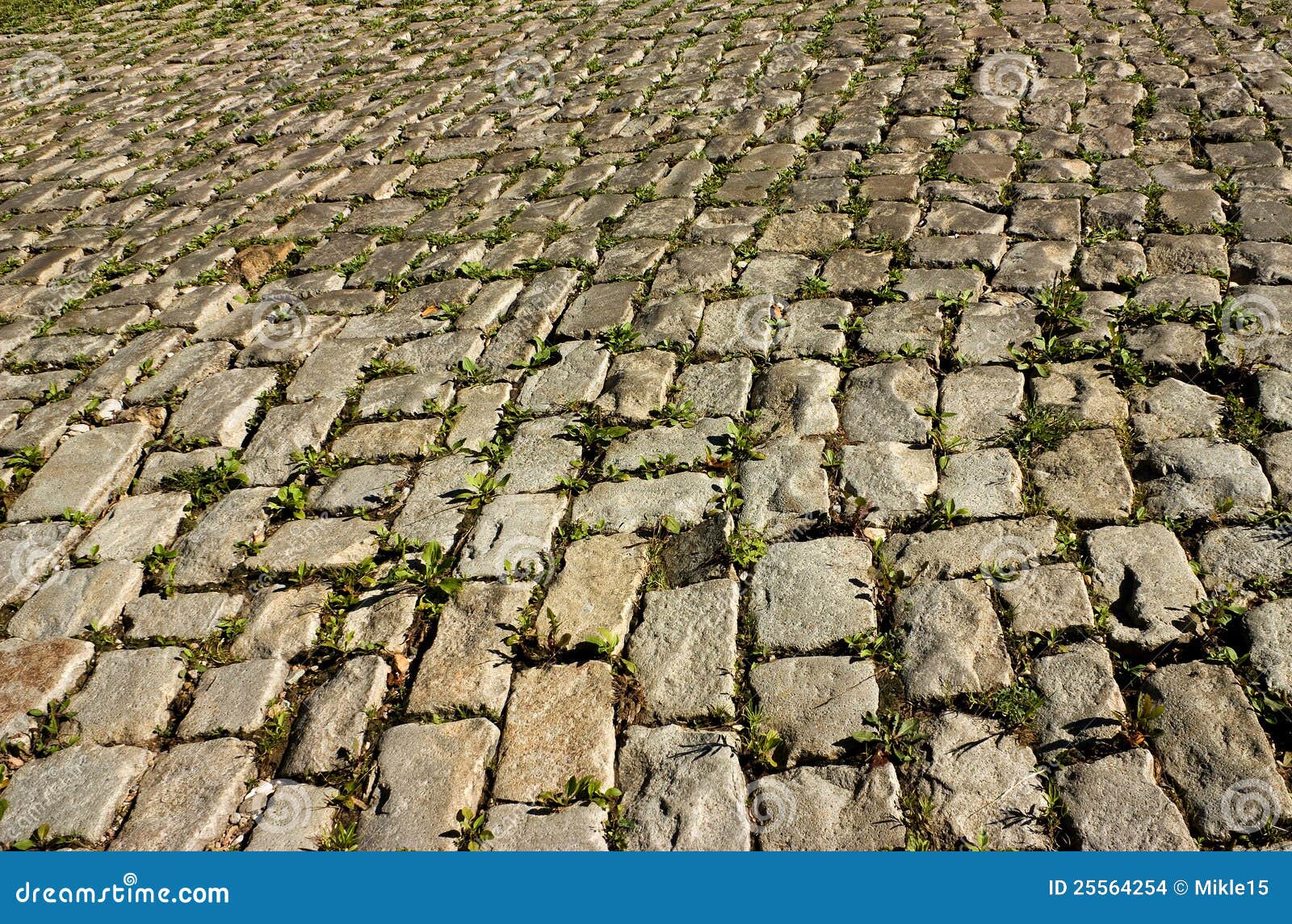 Paving Stone. stock photo. Image of sidewalk, road, caucasus - 25564254