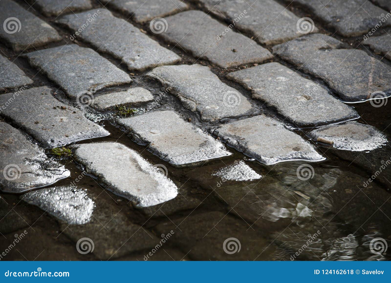 Paving Stone in a Puddle is Close Stock Photo - Image of puddle, close ...