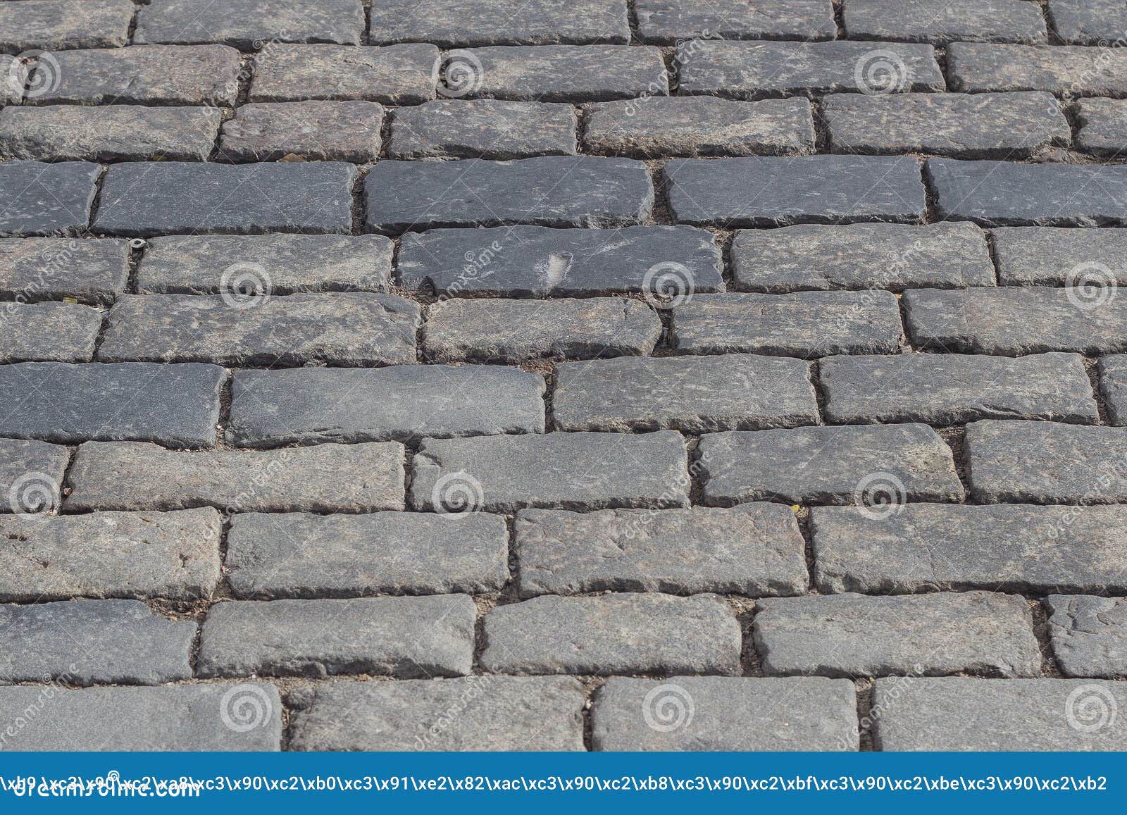 Paving stone on red square stock photo. Image of backdrop - 172440400
