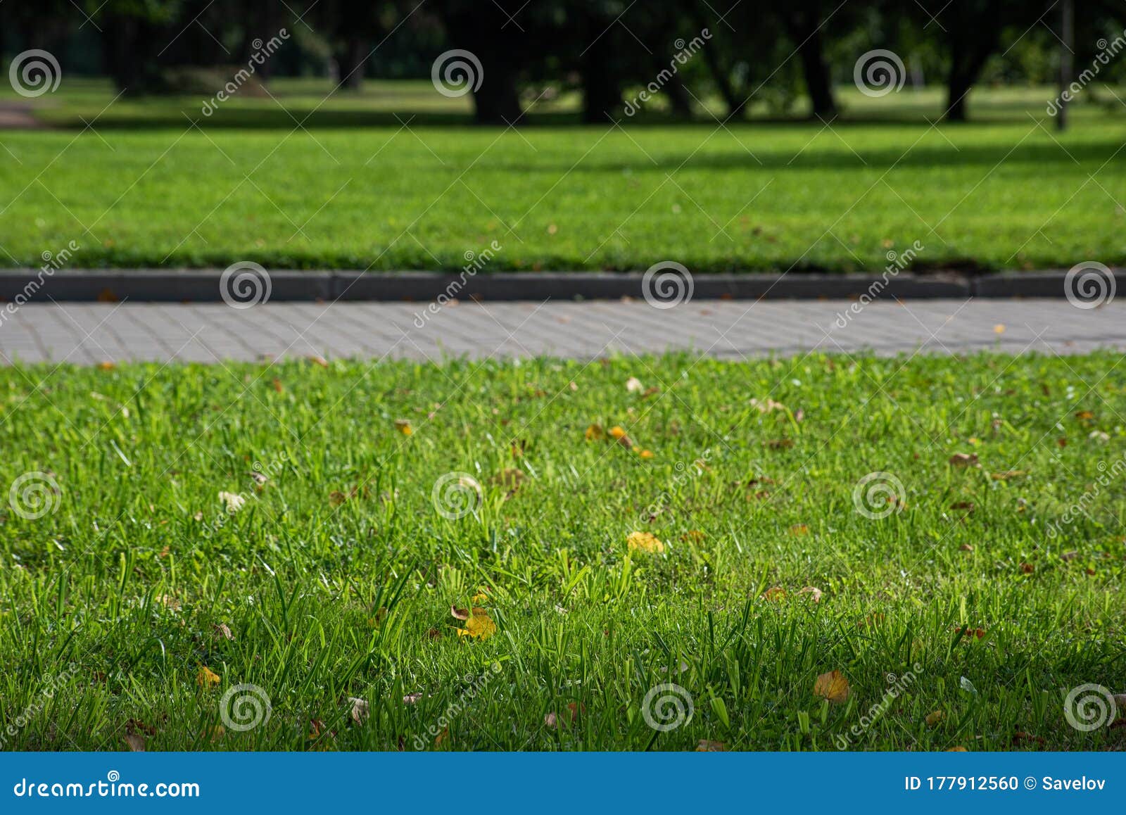 Paving Grass Stock Photos - Download 9,226 Royalty Free Photos