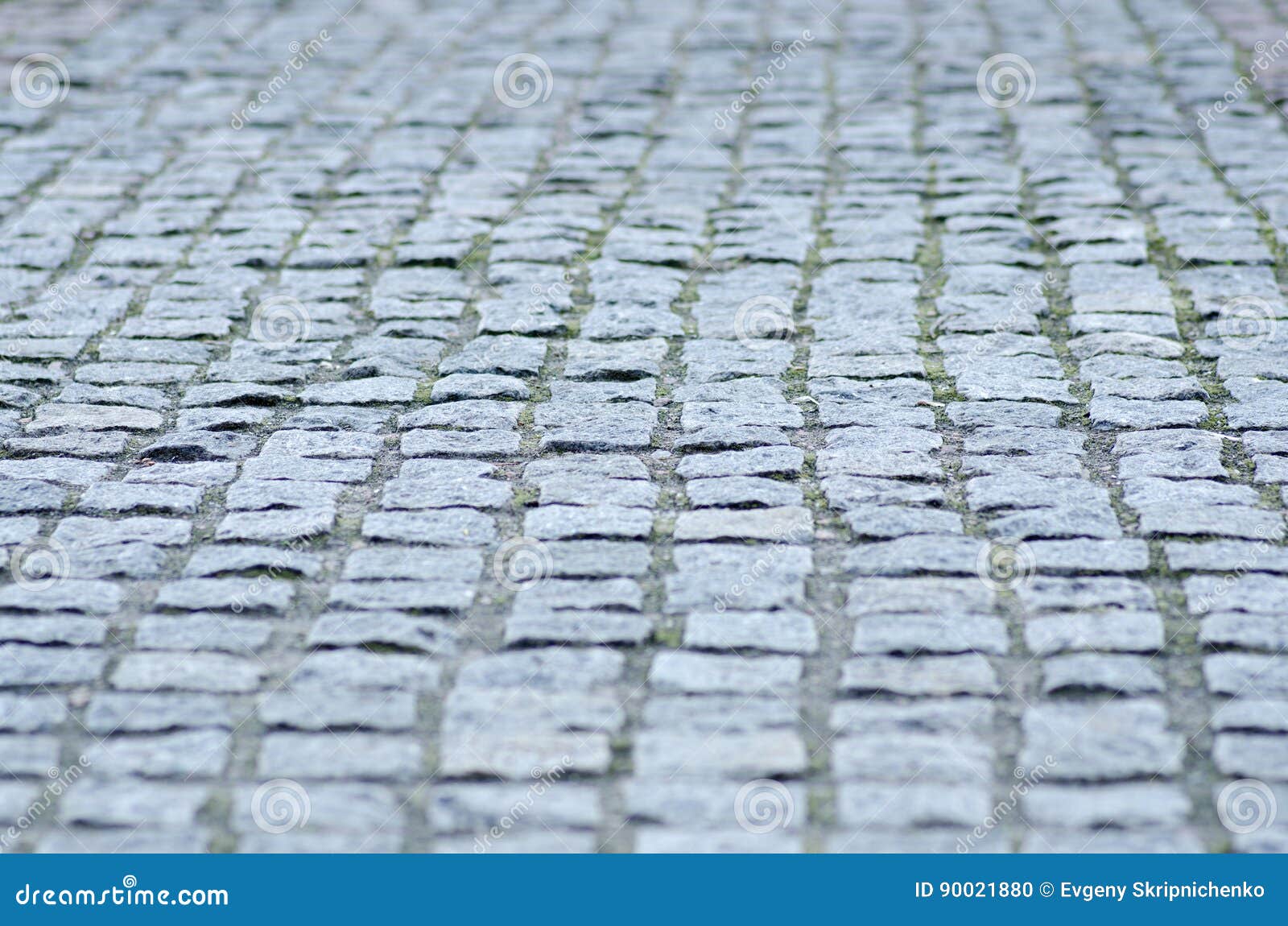 19,446 Paving Stone Road Gray Road Photos - Free & Royalty-Free Stock ...