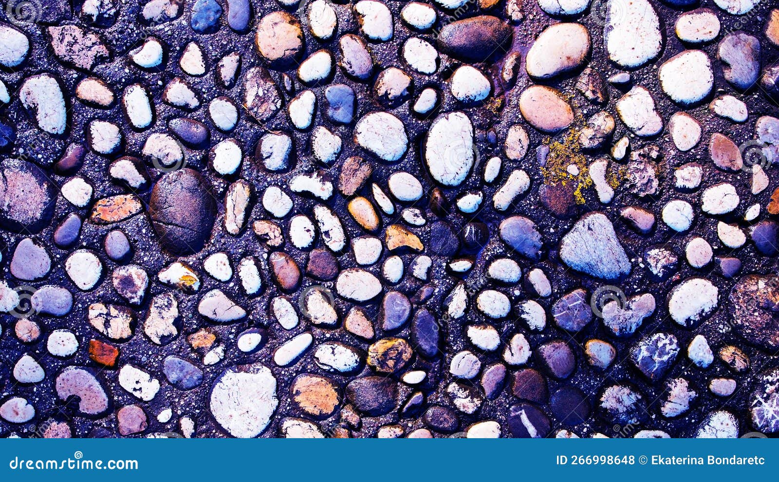 Paving Stone Texture. Stone Surface Made of Small Round Stones. Stock ...