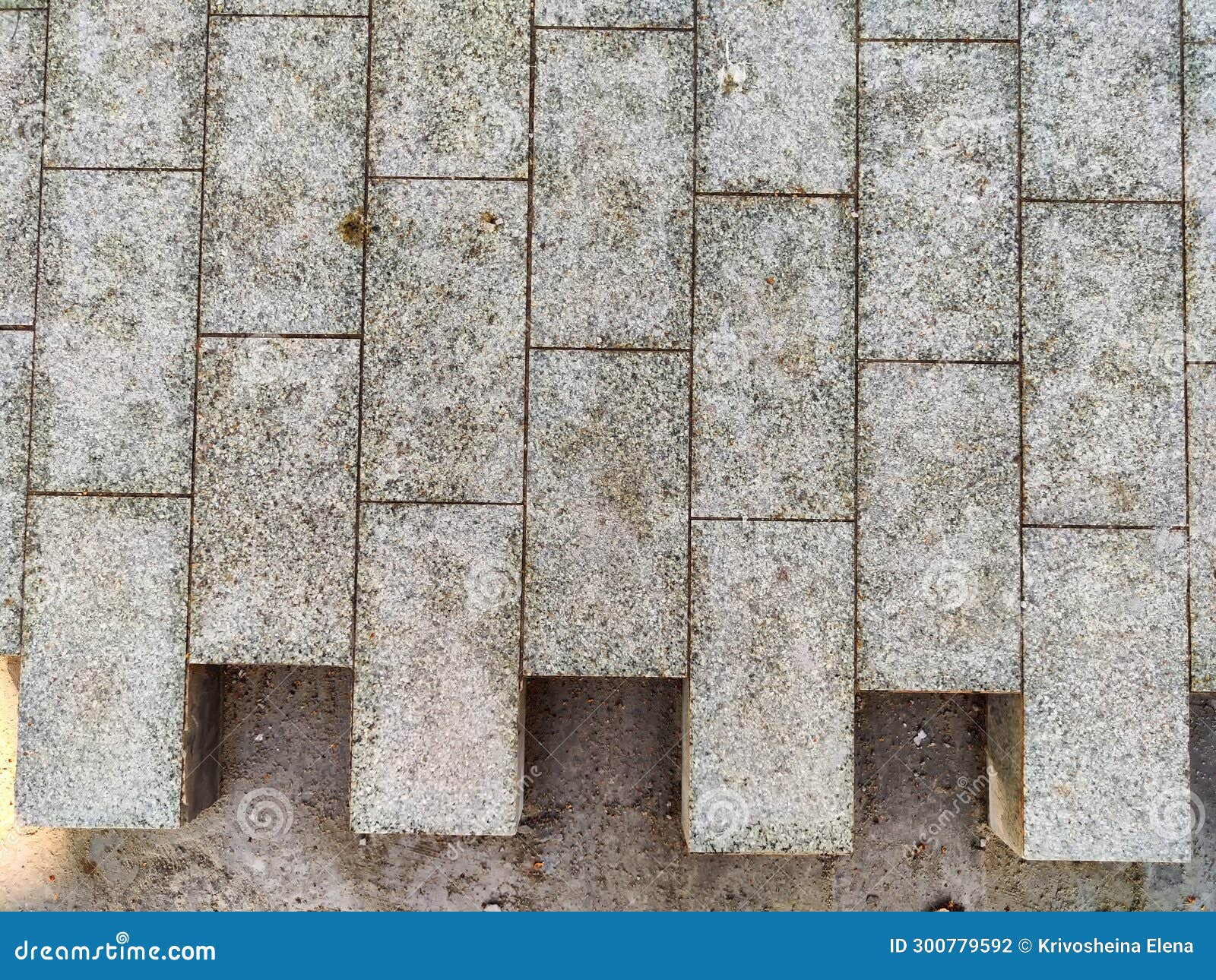 Paving Stone Tiles of Square and Rectangular Shape of Gray in ...