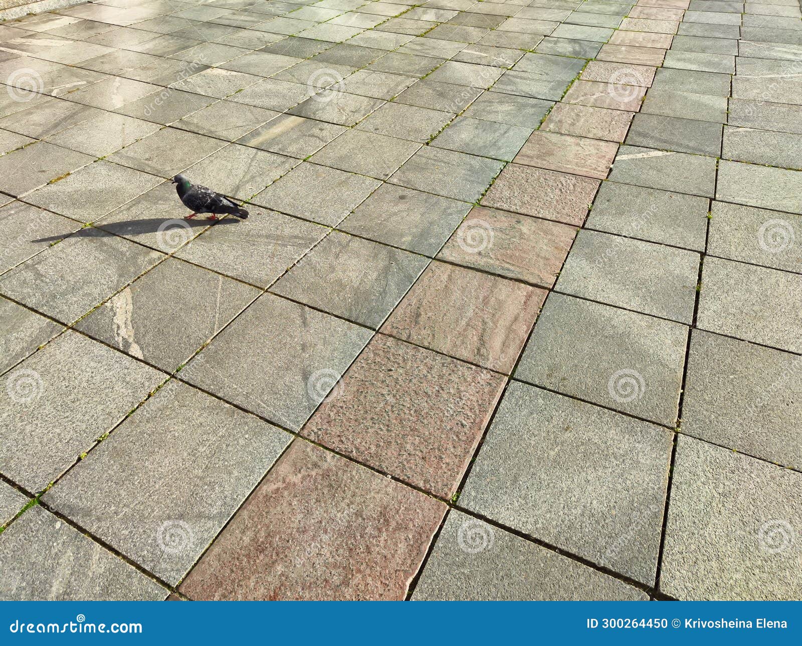 Paving Stone Tiles of Square and Rectangular Shape of Gray in ...