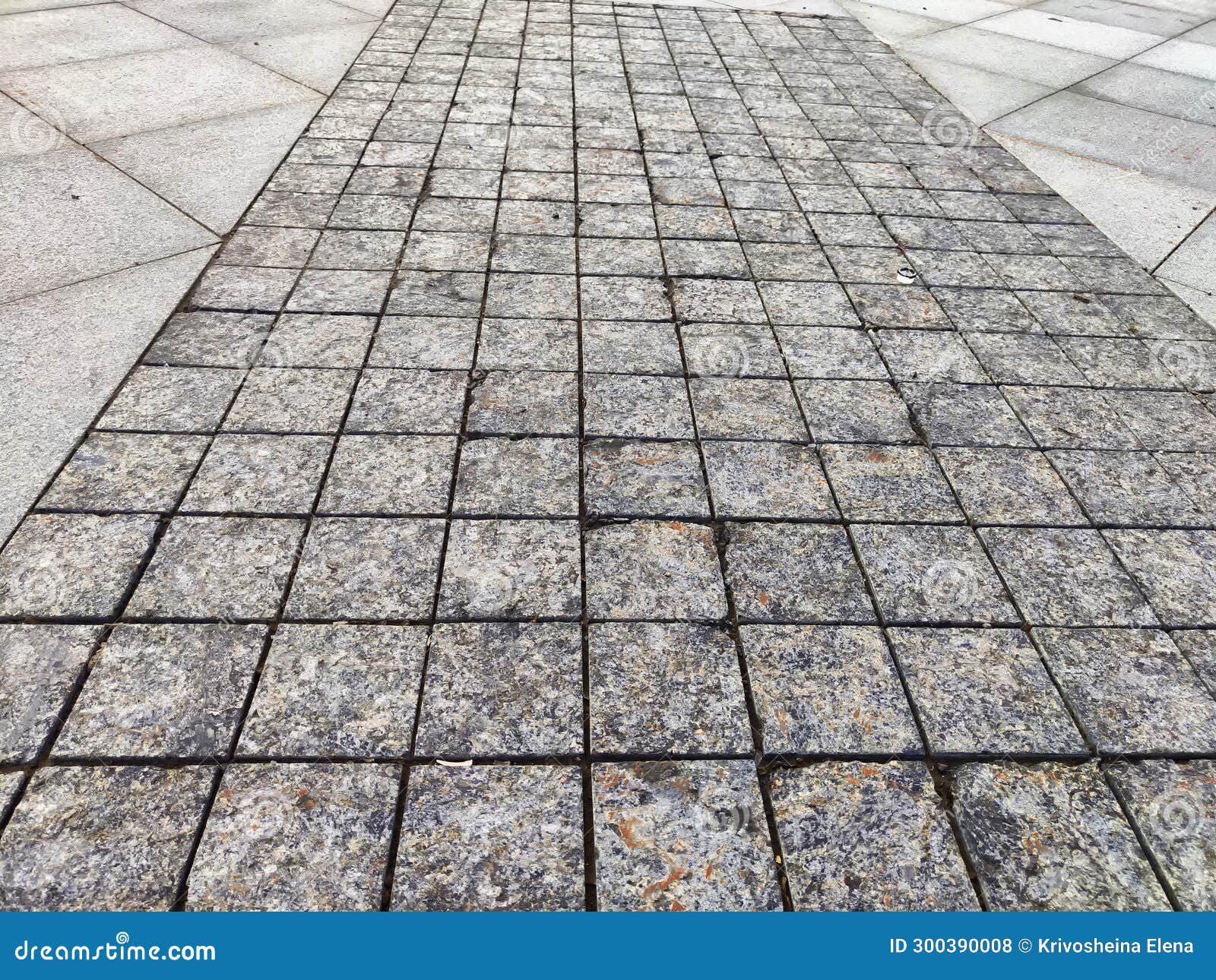 Paving Stone Tiles of Square and Rectangular Shape of Gray in ...