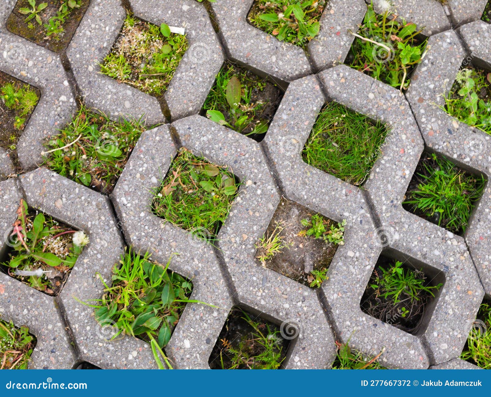 Pattern Paving Stones with Ingrown Grass Stock Photo - Image of ...