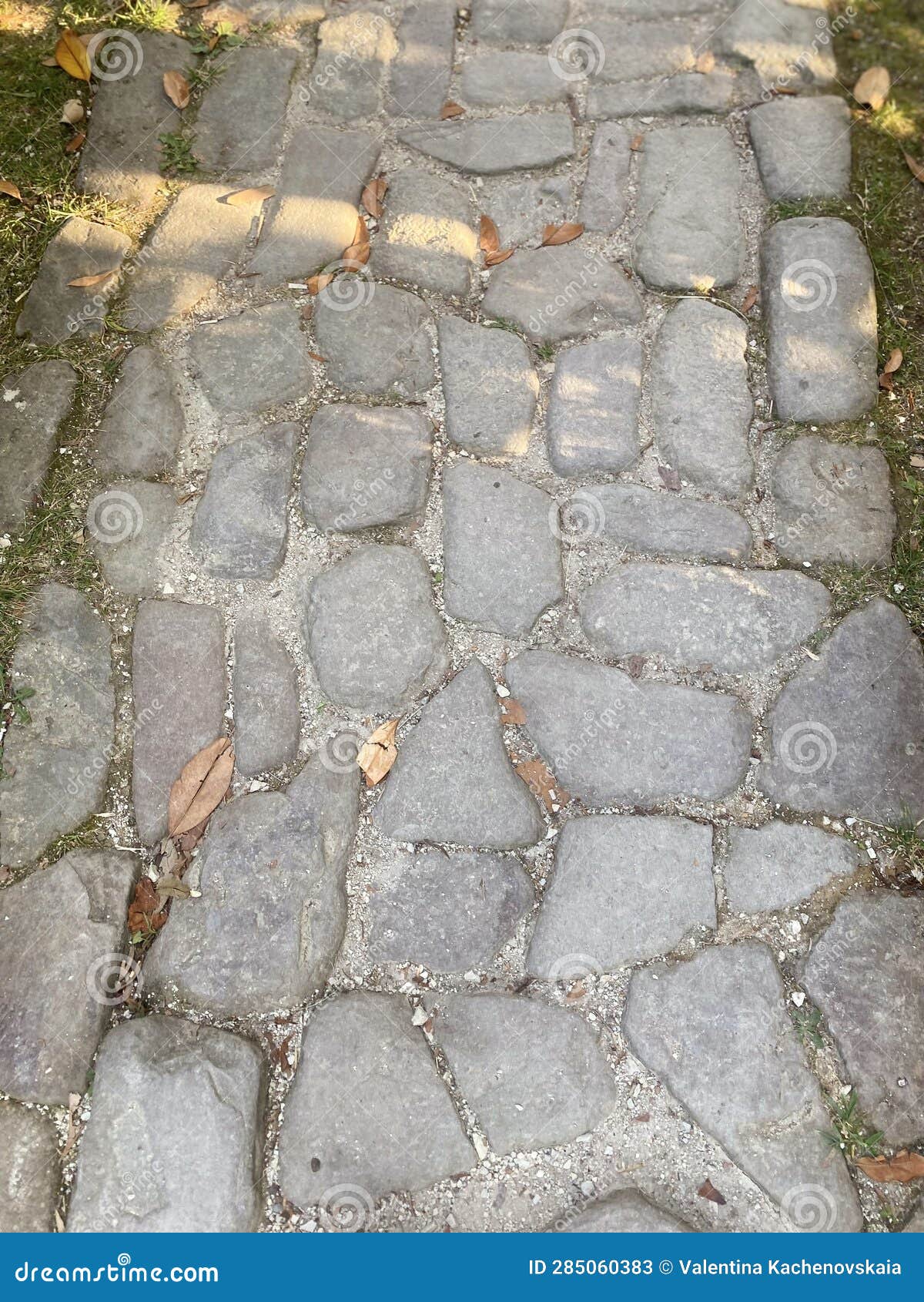 Stone path and garden stock image. Image of garden, forest - 285060383