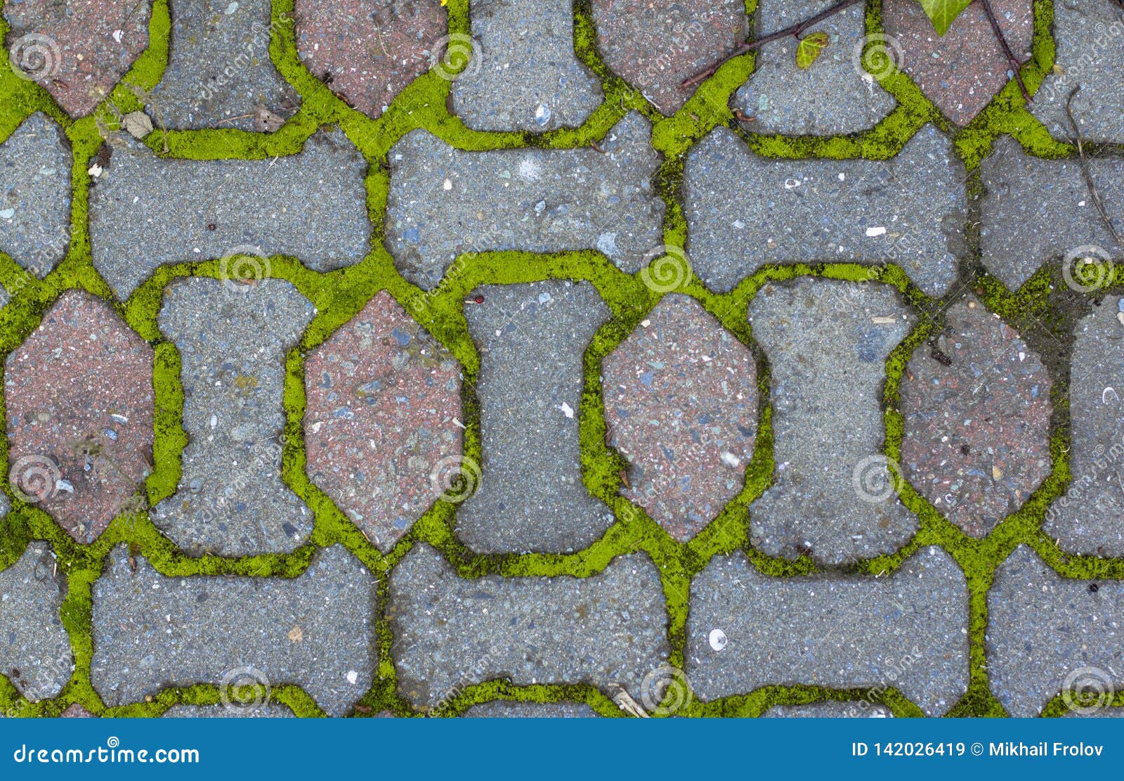 Paving Stones and Moss between Bricks. Texture Stock Image - Image of ...