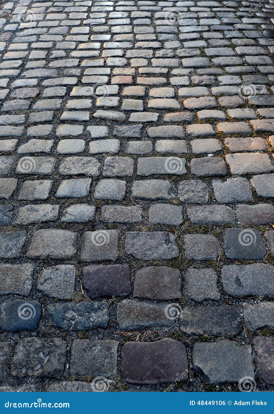 Paving stones stock photo. Image of hard, polish, poland - 48449106
