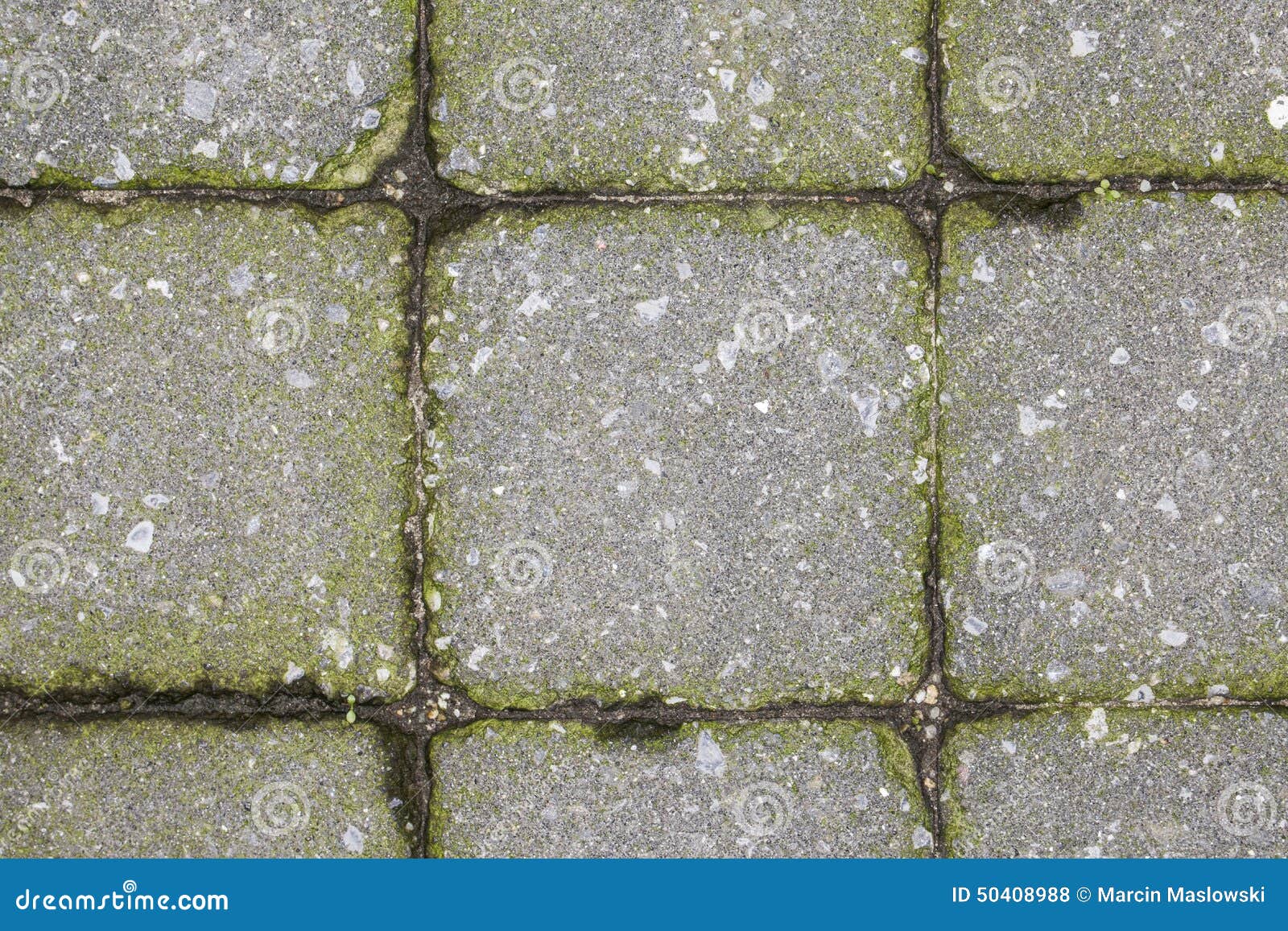 Paving Tiles Royalty-Free Stock Photo | CartoonDealer.com #36667197