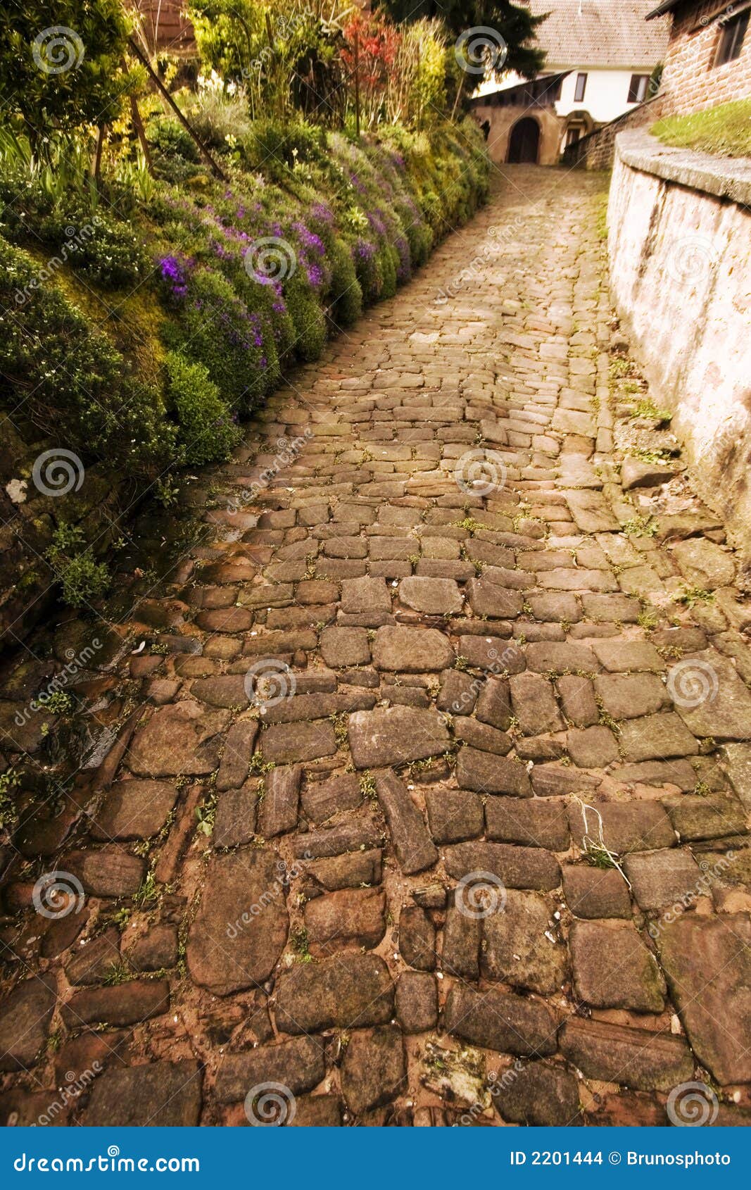 Paving way stock photo. Image of street, ground, grassy - 2201444