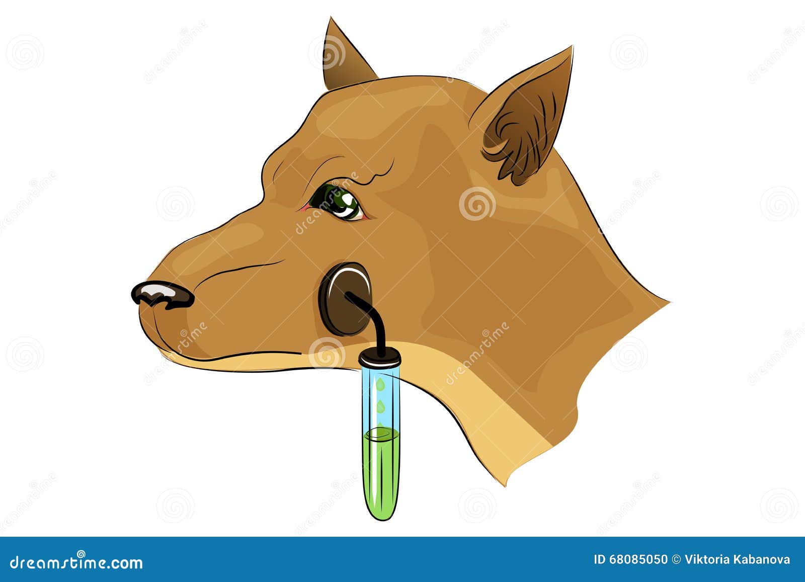 Pavlov s Dog. Experiments. stock vector. Illustration of retorts - 68085050