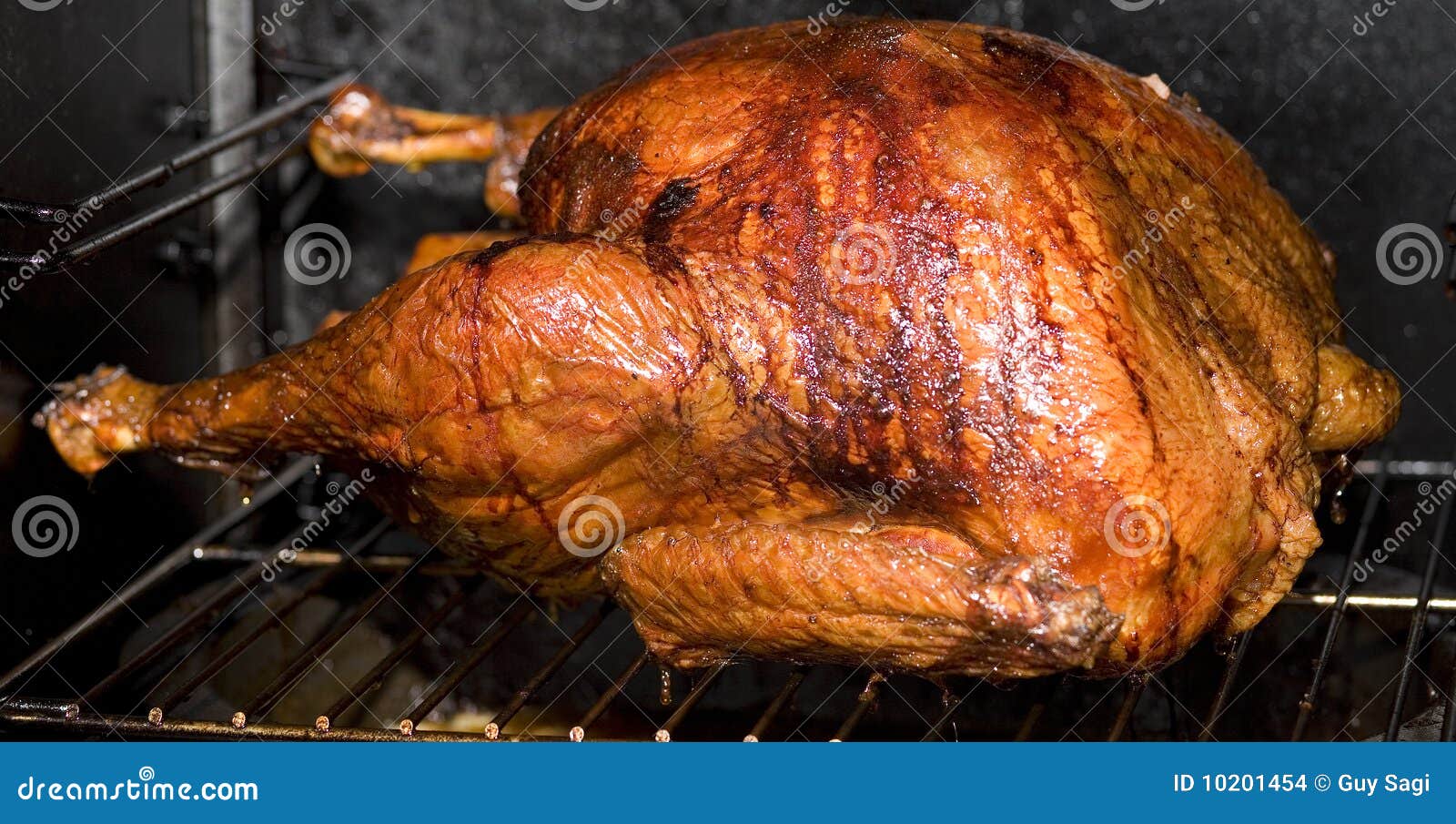 Pavo que fuma foto de archivo. Imagen de pavo, humo, ahumado - 10201454