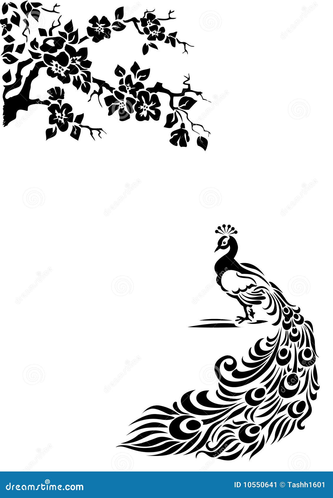 Pavo real ilustración del vector. Ilustración de peacock - 10550641