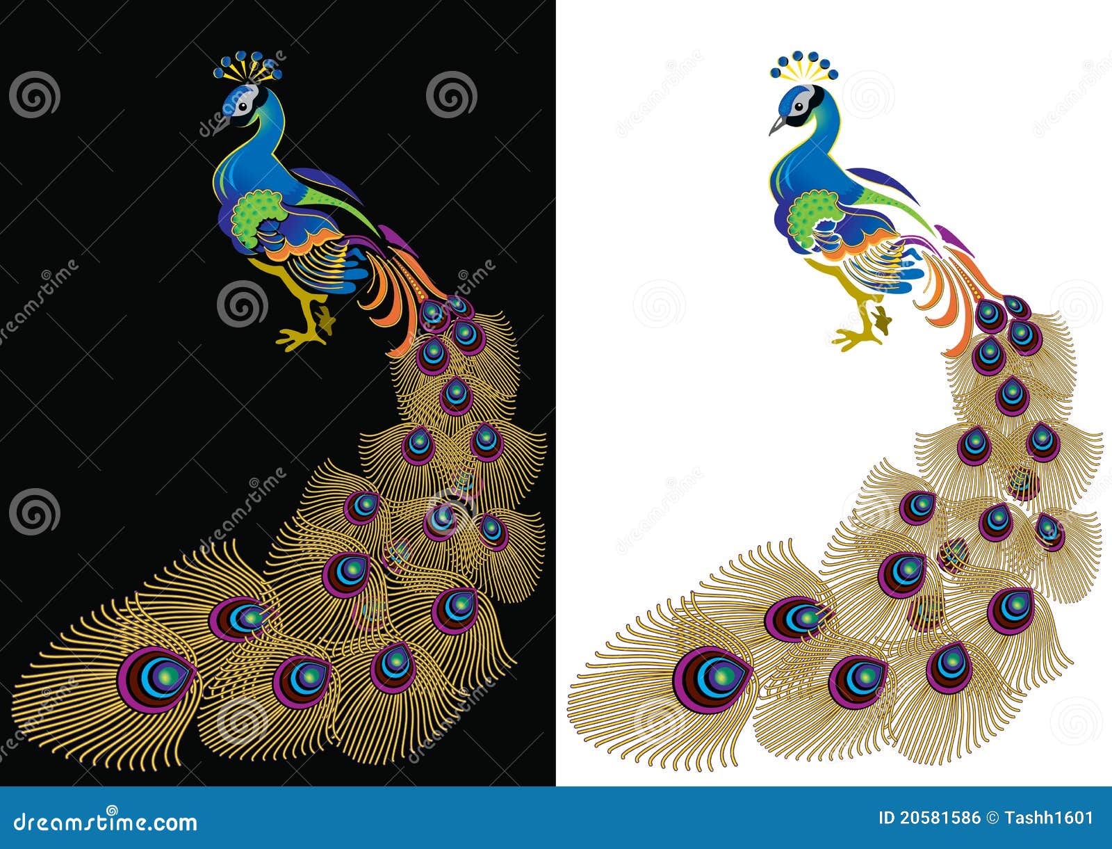 Pavo real ilustración del vector. Ilustración de imagen - 20581586