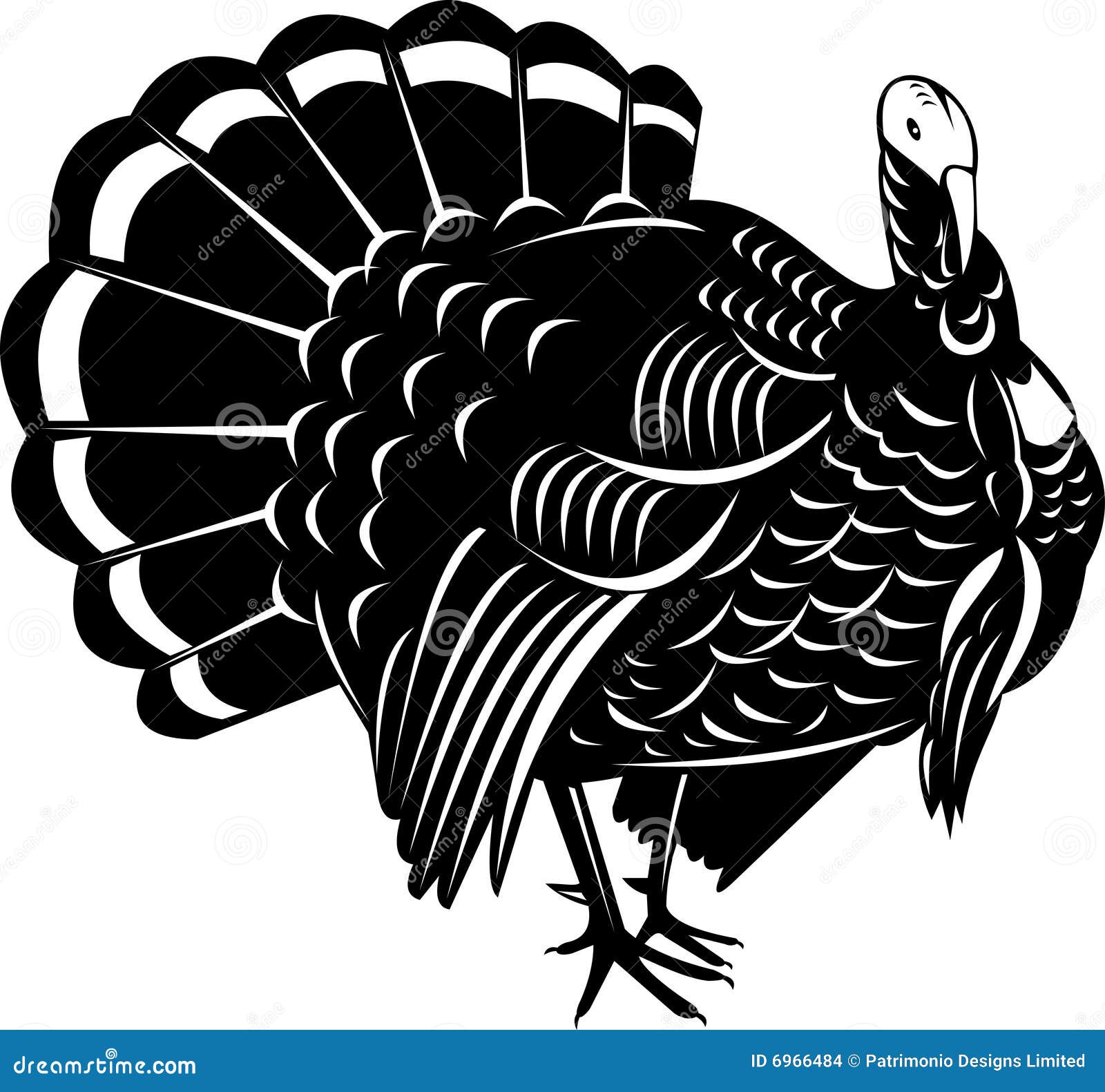 Pavo salvaje ilustración del vector. Ilustración de fauna - 6966484