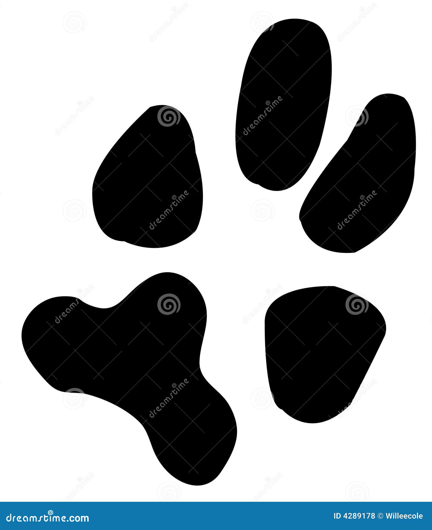 Paw print stock vector. Illustration of footprint, pawprint - 4289178