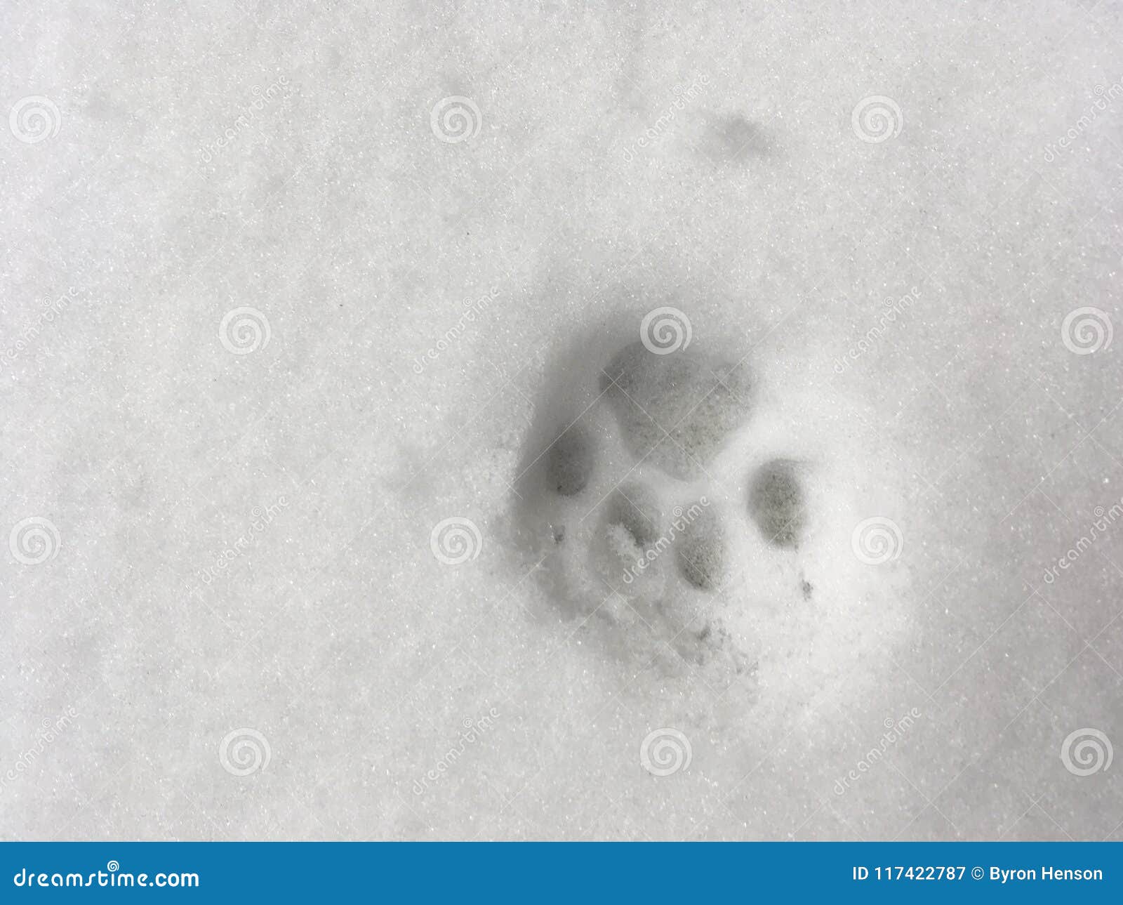 Snow print stock image. Image of winter, print, snow - 117422787