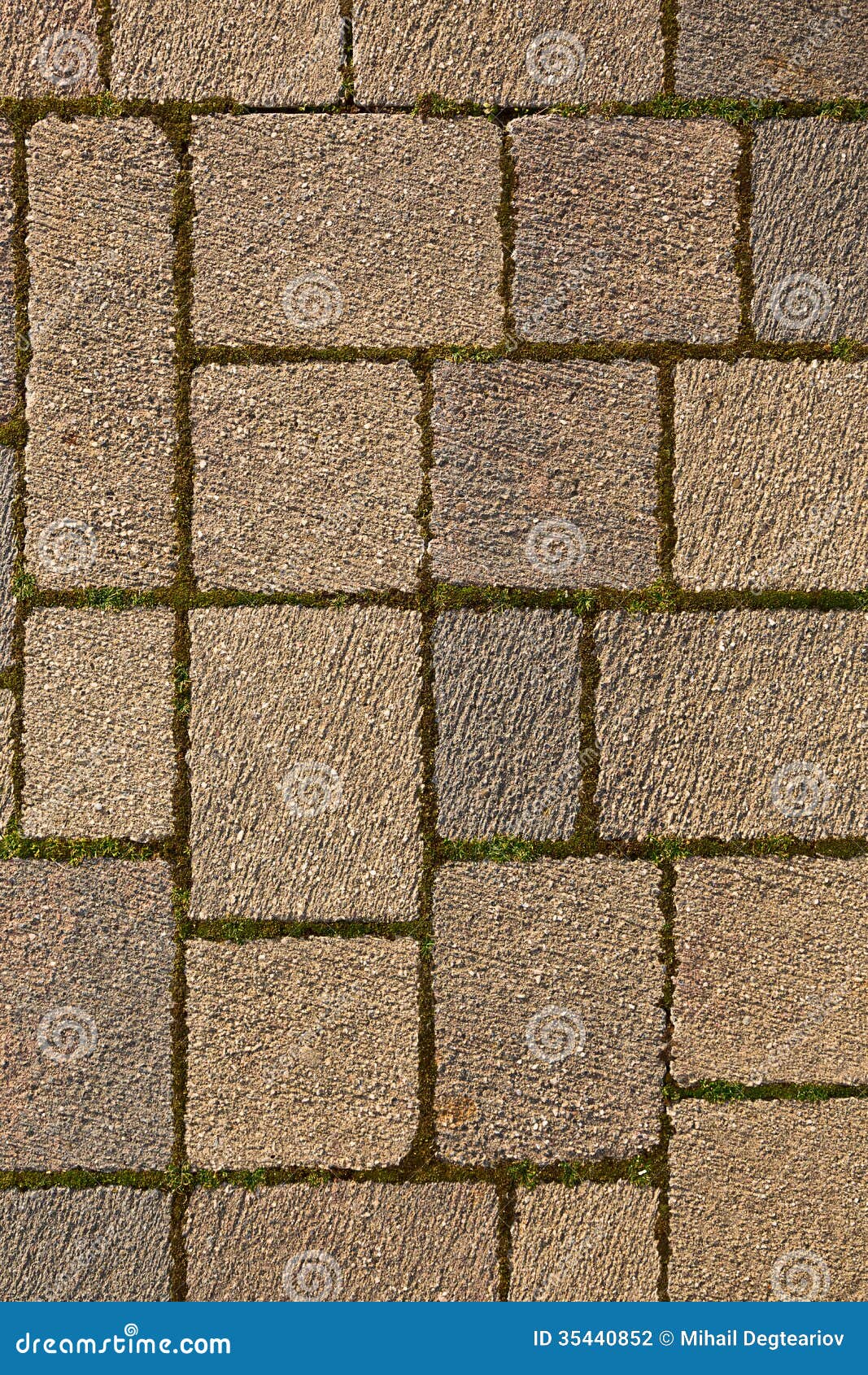 Pawed Surface stock photo. Image of surface, concrete - 35440852