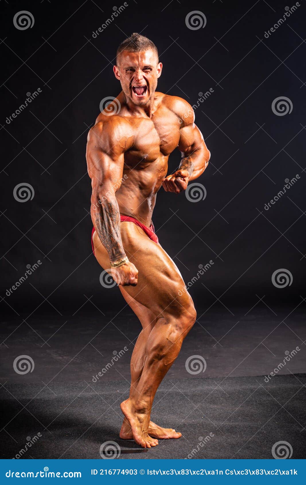 Pawel Szotkowski Bodybuilder Studio Photo Editorial Stock Photo - Image ... Pawel Szotkowski Bodybuilder Studio Photo Editorial Stock Photo - Image ...
