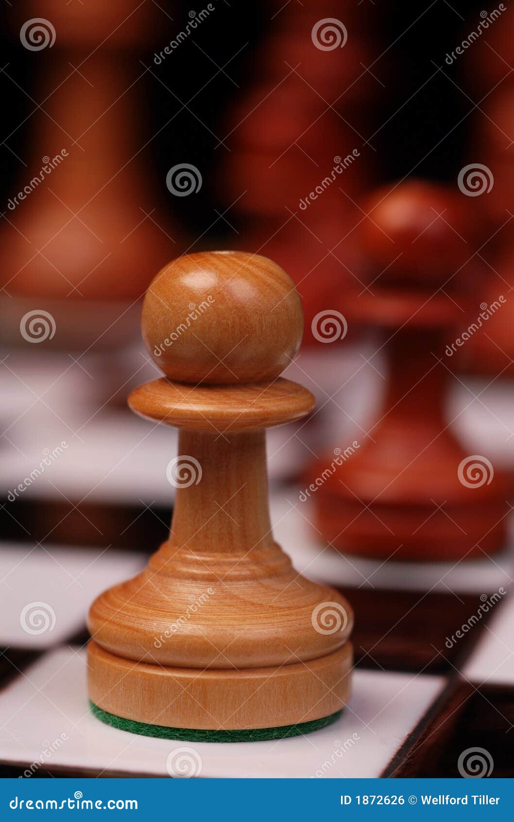 Pawn on chess board stock photo. Image of check, chess - 1872626