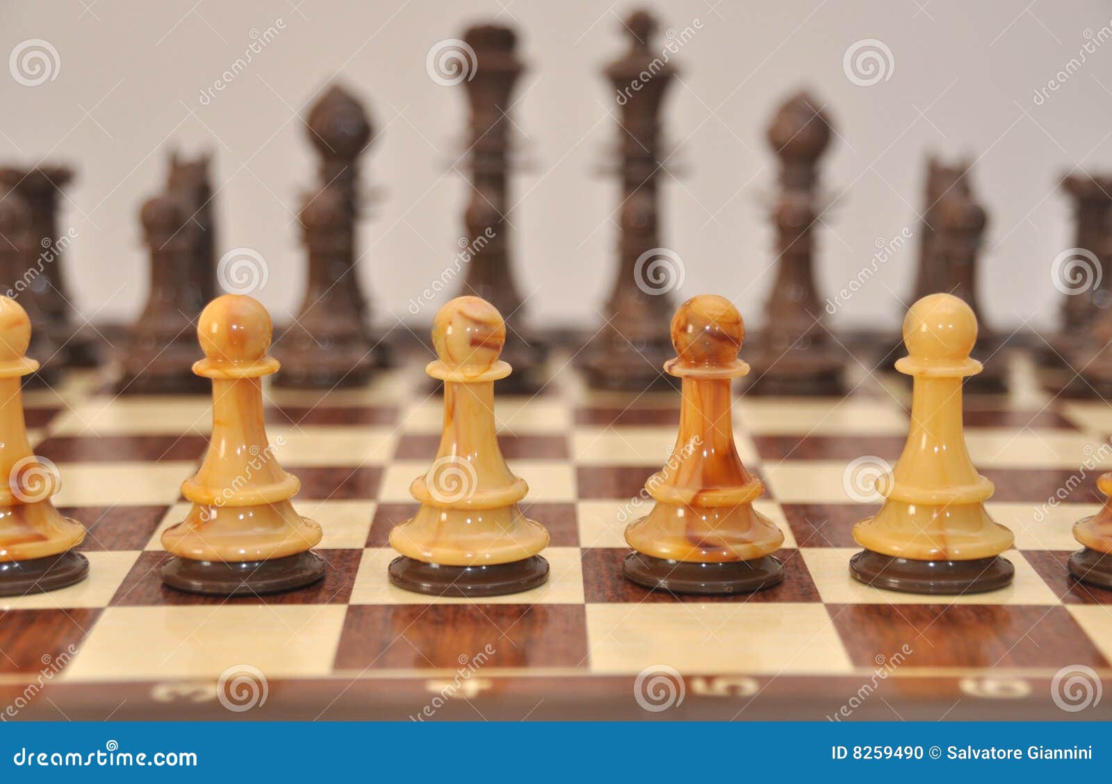 Pawns on chess board stock photo. Image of opposition - 8259490