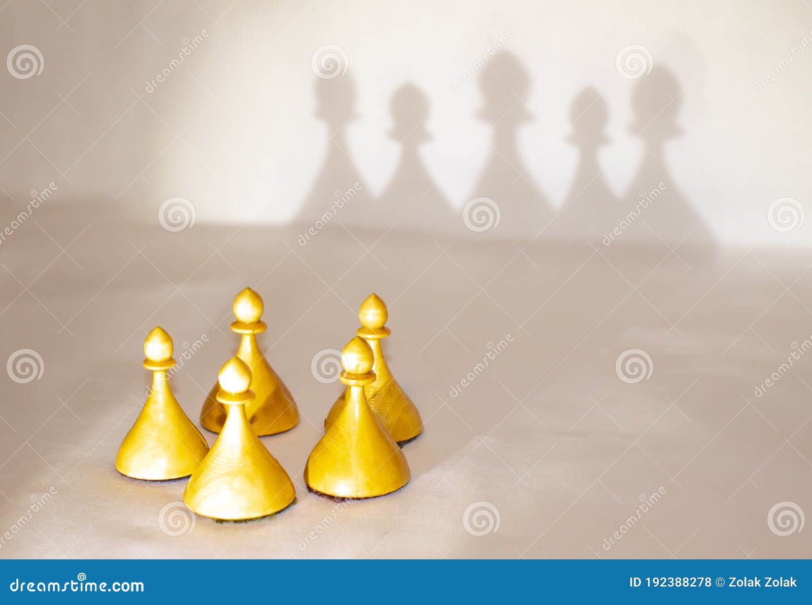 Pawns Rounded in Circle with a Crown in Shadow. Teamwork and Leadership ...