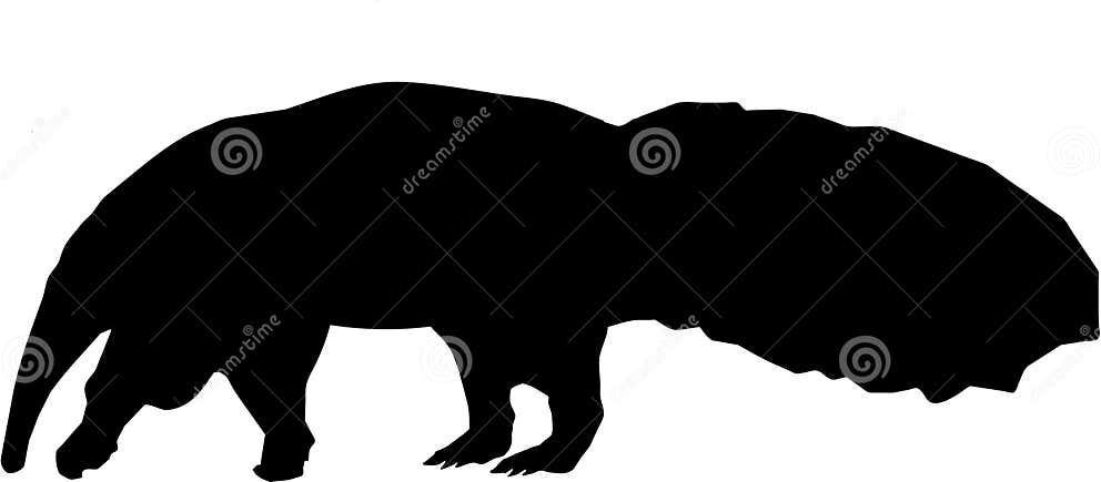 Anteater Vermilingua Silhouette Stock Vector - Illustration of ...