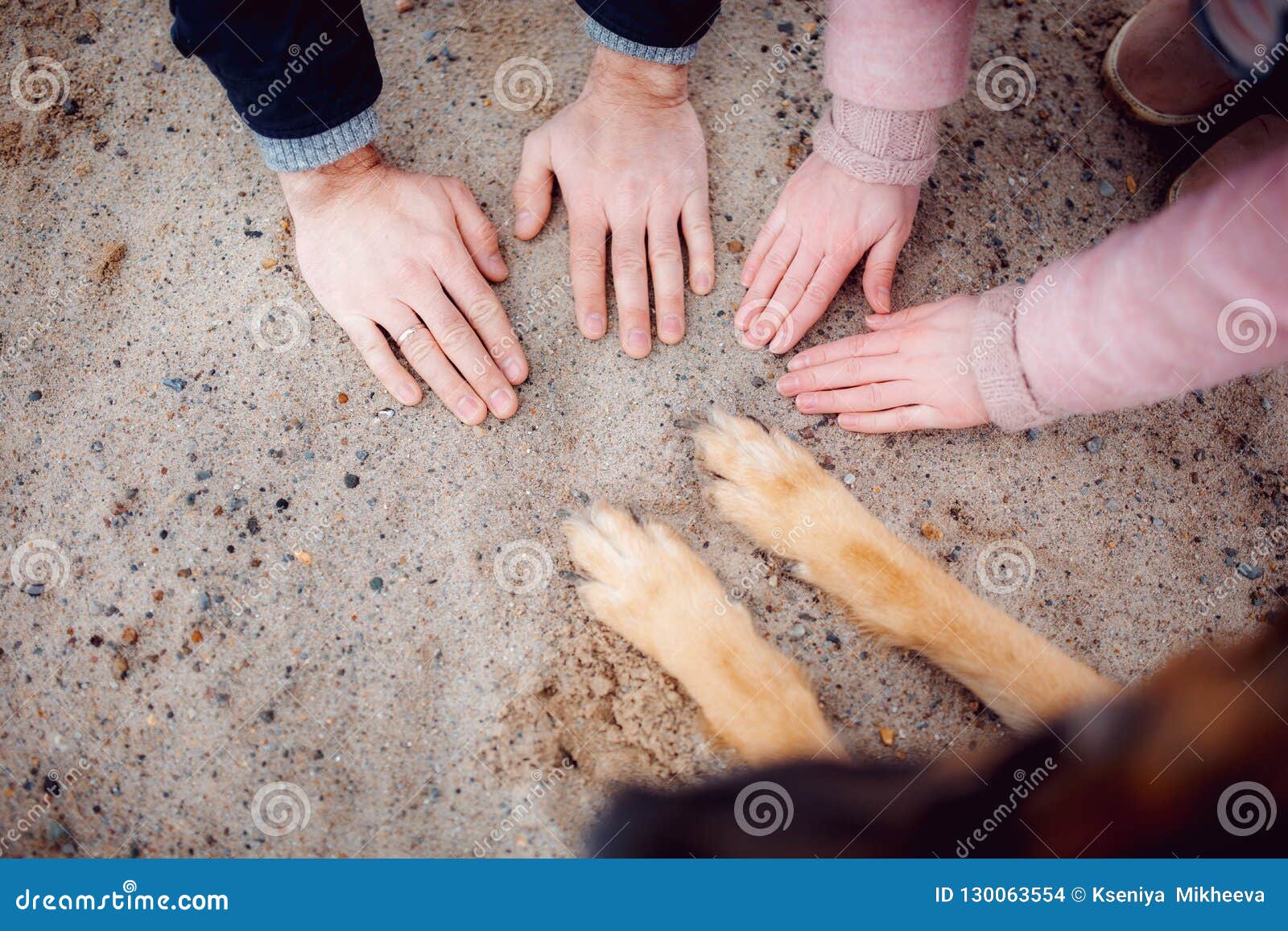 Paws of a Dog and Hands of People Stock Photo - Image of human, greet ...