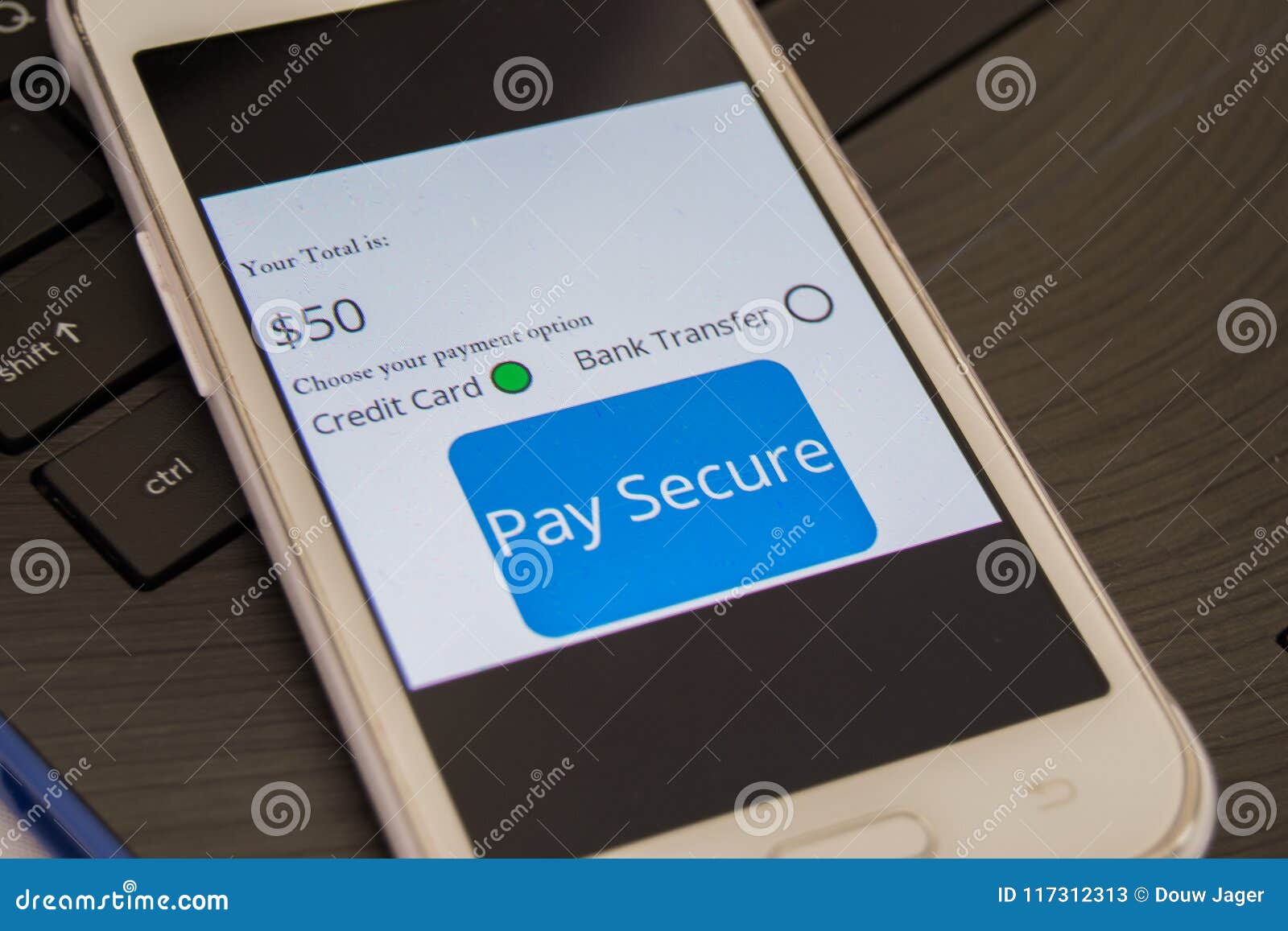 Pay Secure Concept stock image. Image of secure, card - 117312313