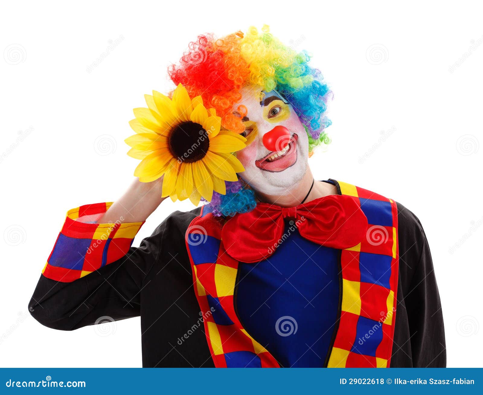 Payaso Con La Flor Amarilla Grande Foto de archivo - Imagen de amarillo ...