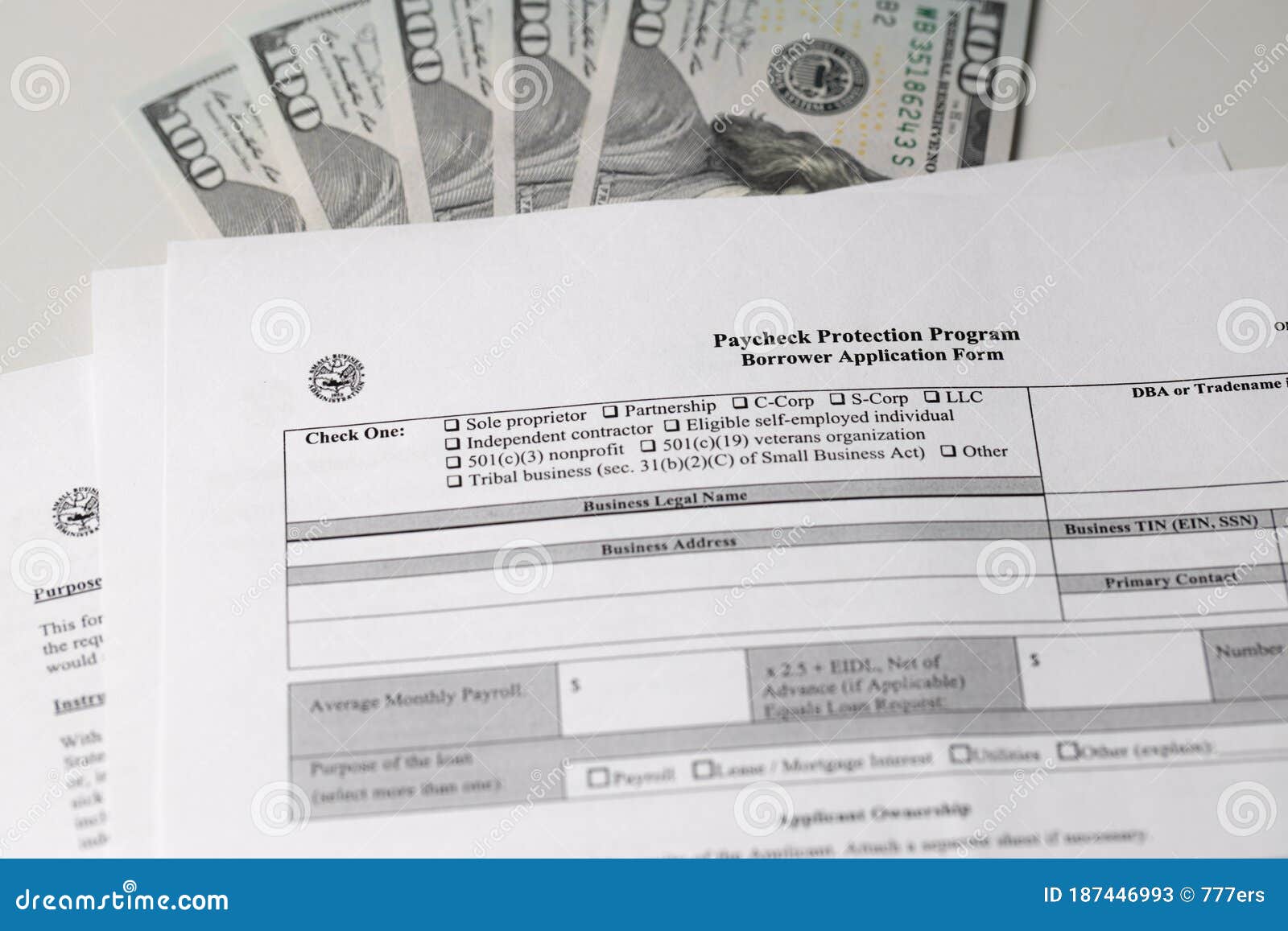 Paycheck Protection Program Borrower Application Form Stock Image ...
